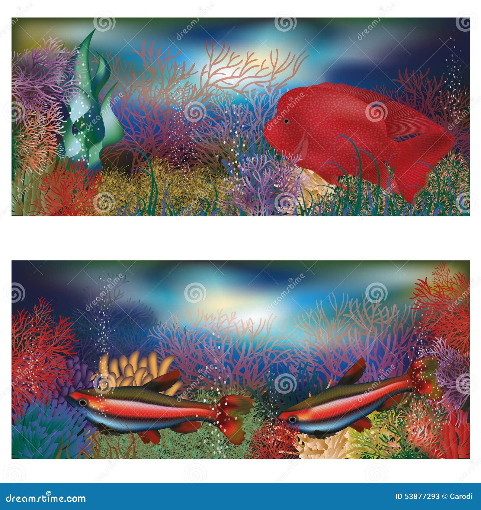 Underwater Banners With Tropical Fish Vector Illustration ...