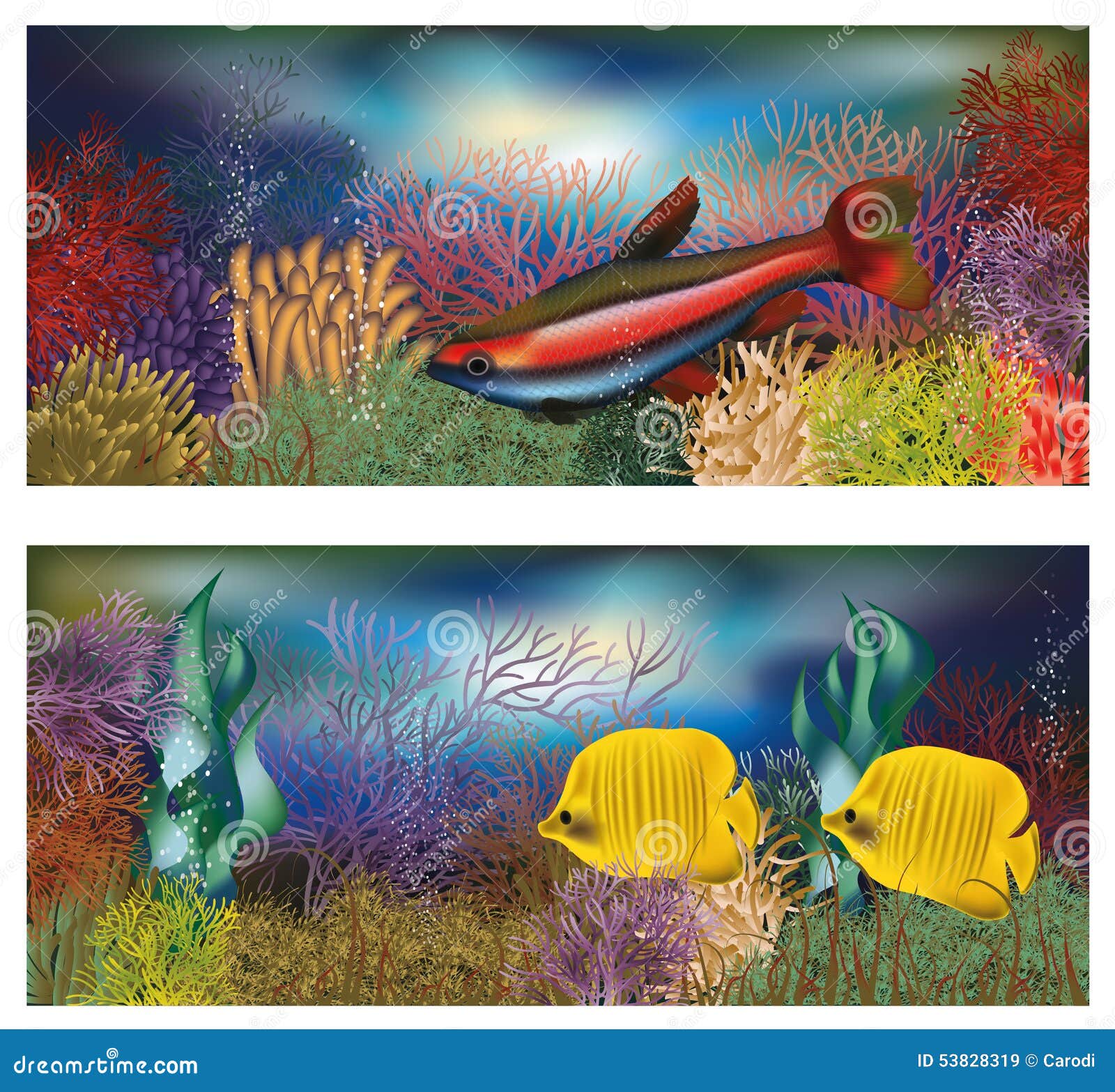 Underwater Banners With Seahorse, Algae And Tropical Fish, Vector ...