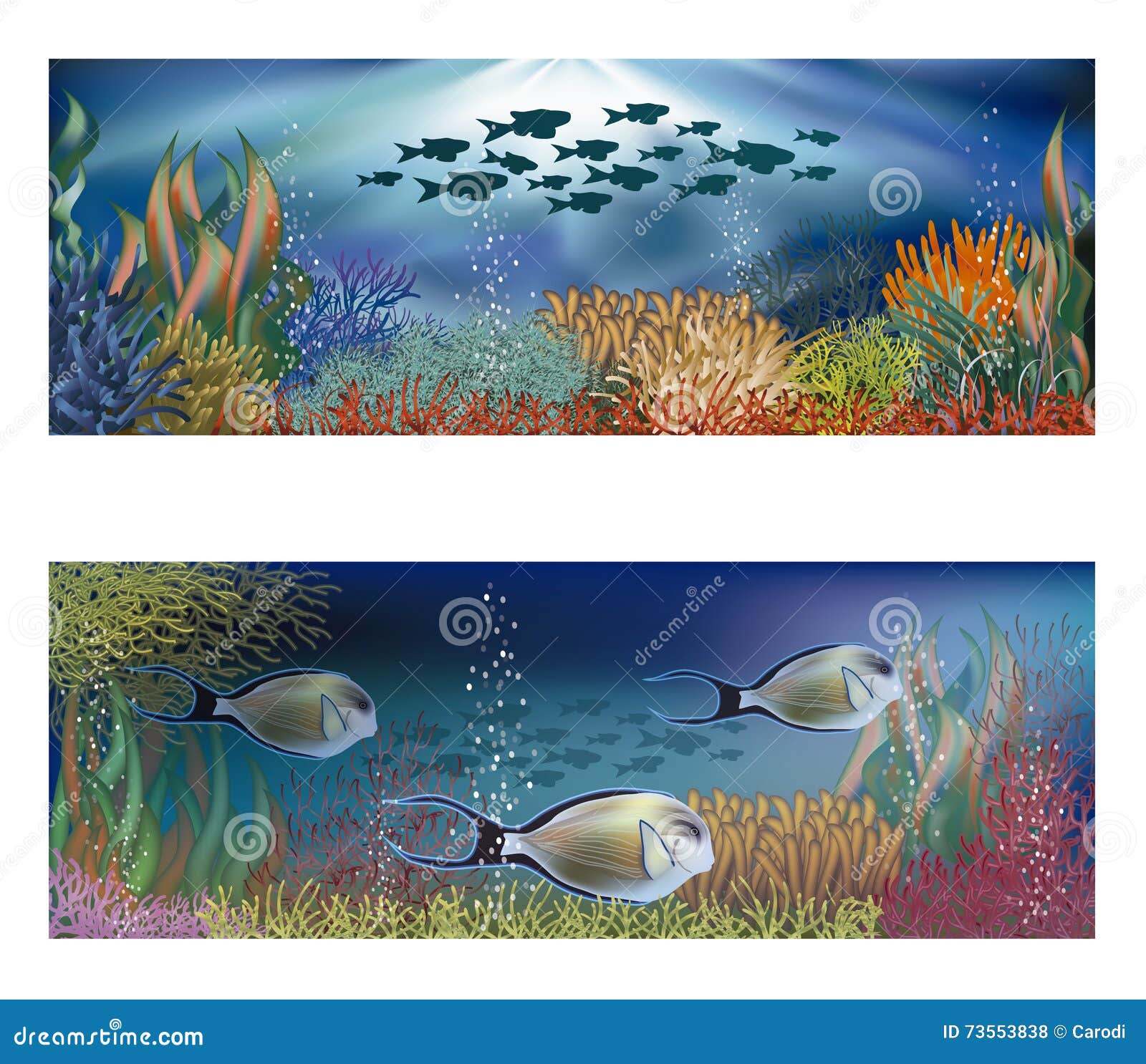 Underwater Banners With Tropical Fish Vector Illustration ...