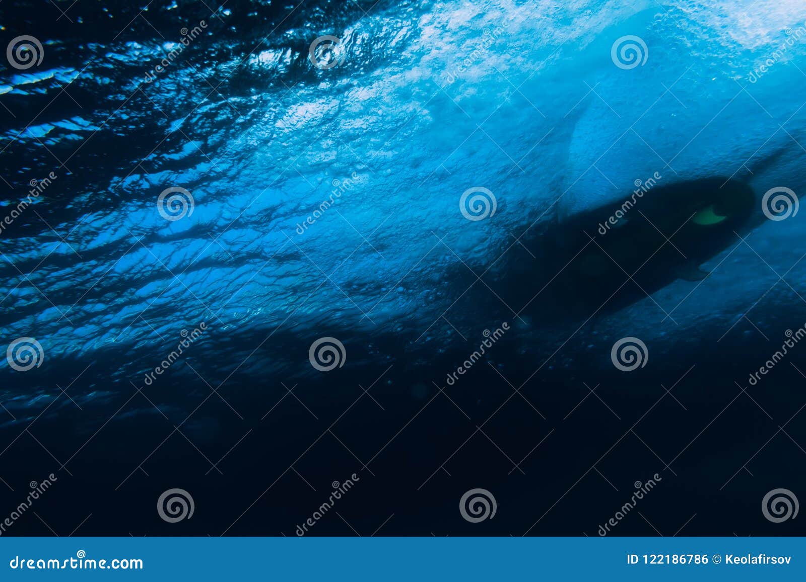 Underwater Barrel Wave in Tropical Ocean and Surfboard Stock Photo ...