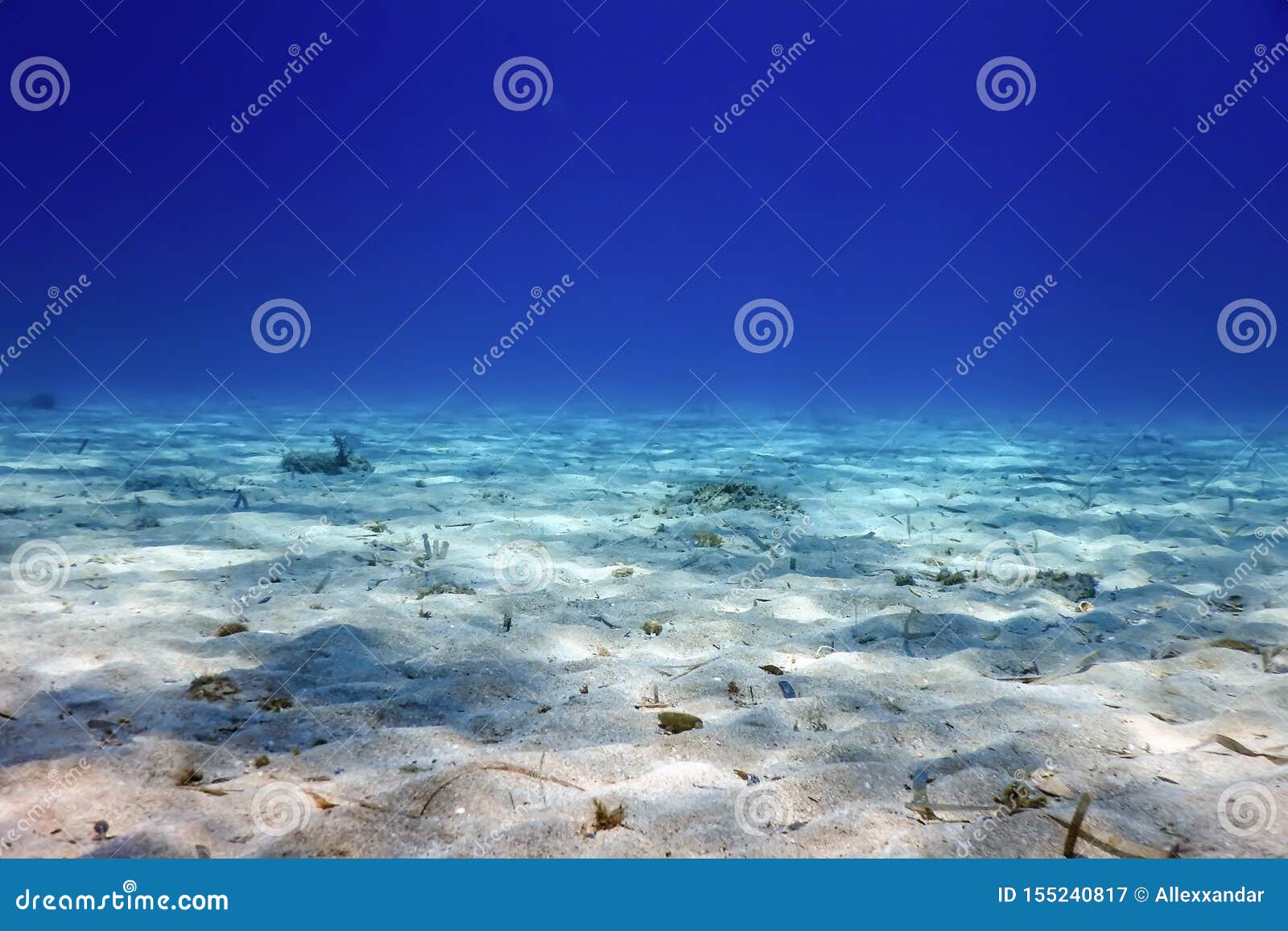 Underwater Blue Ocean, Sandy Sea Bottom Underwater Background Stock ...