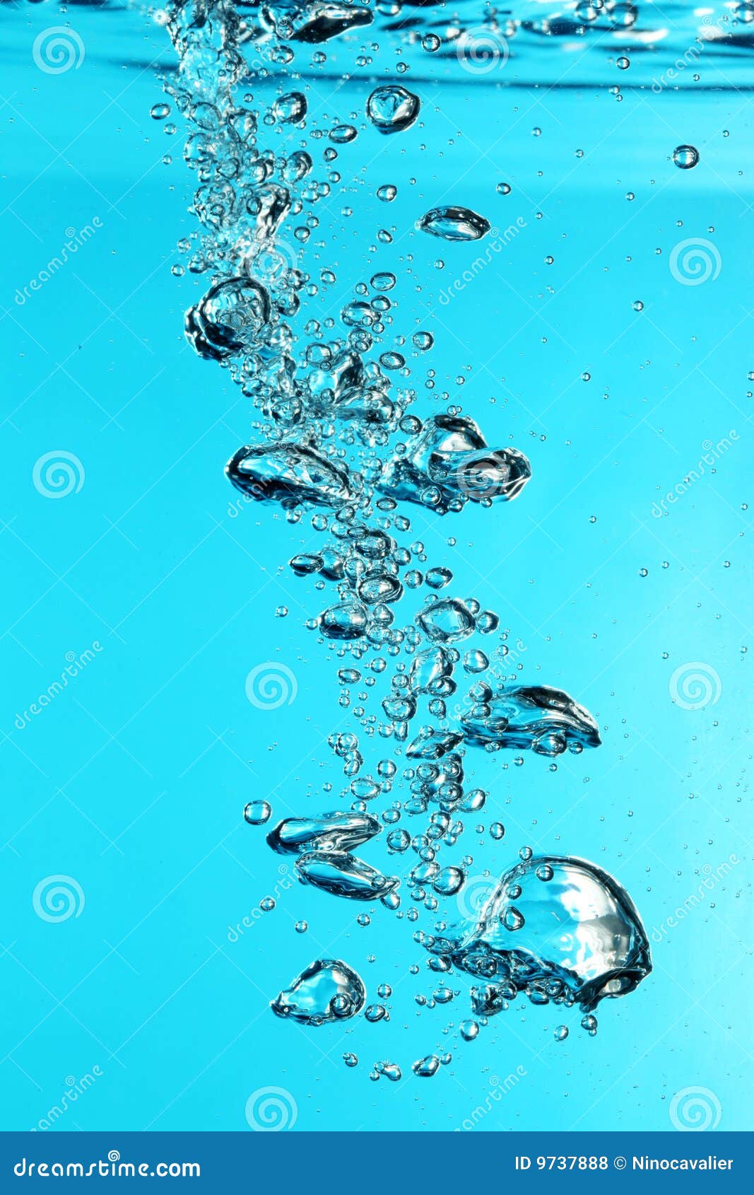 Underwater bubbles stock photo. Image of life, ecology - 9737888