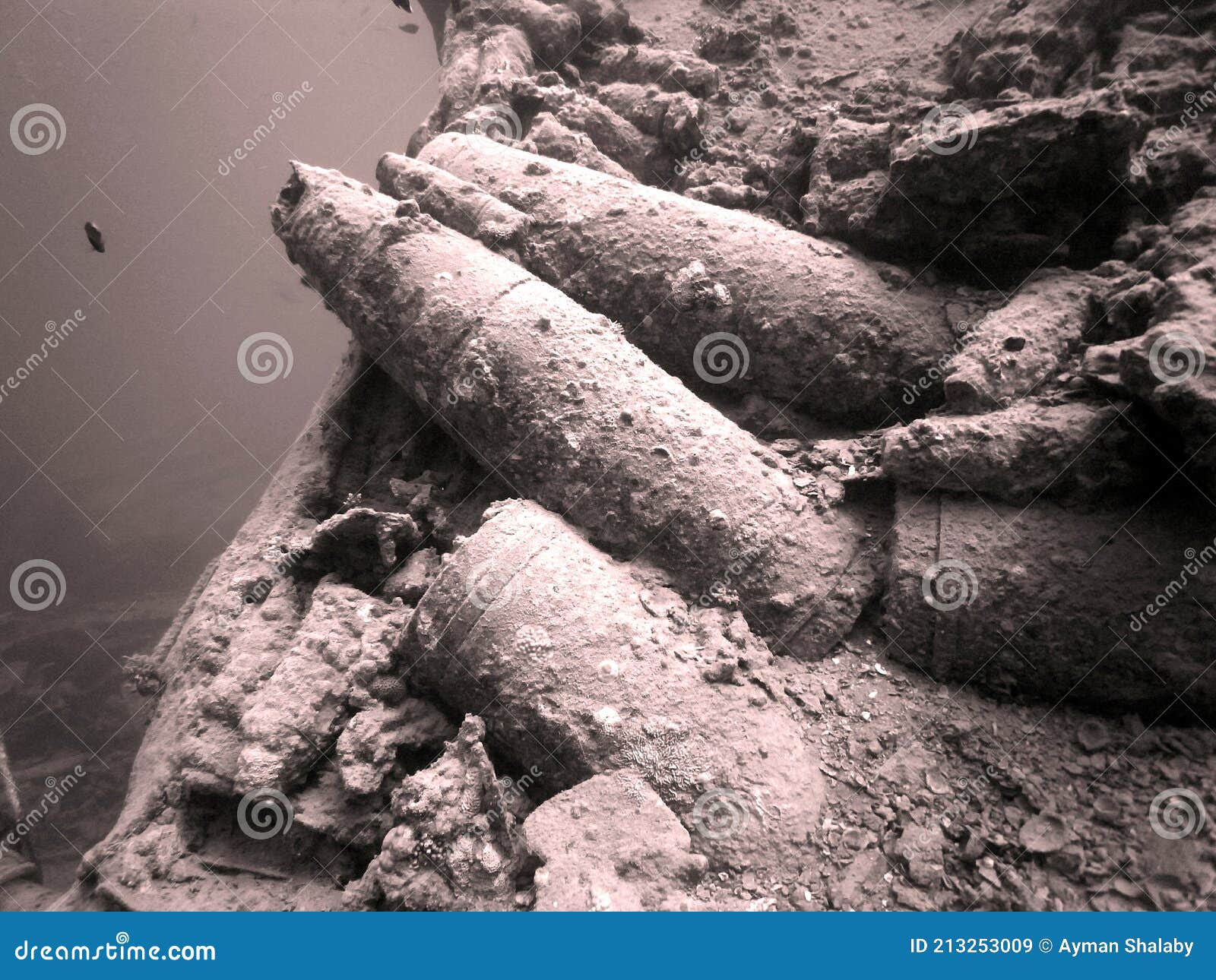 Underwater Bullets from Second World War Stock Image - Image of soil ...