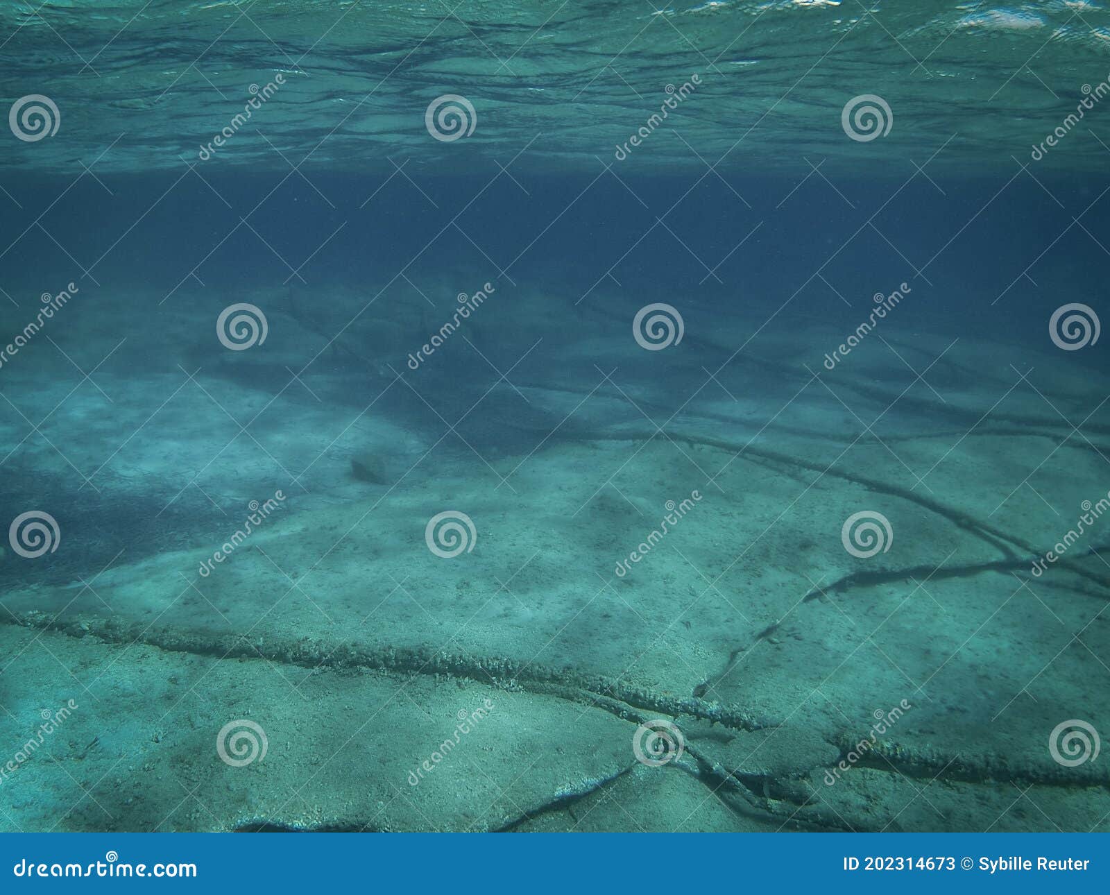Underwater Ocean Floor Background