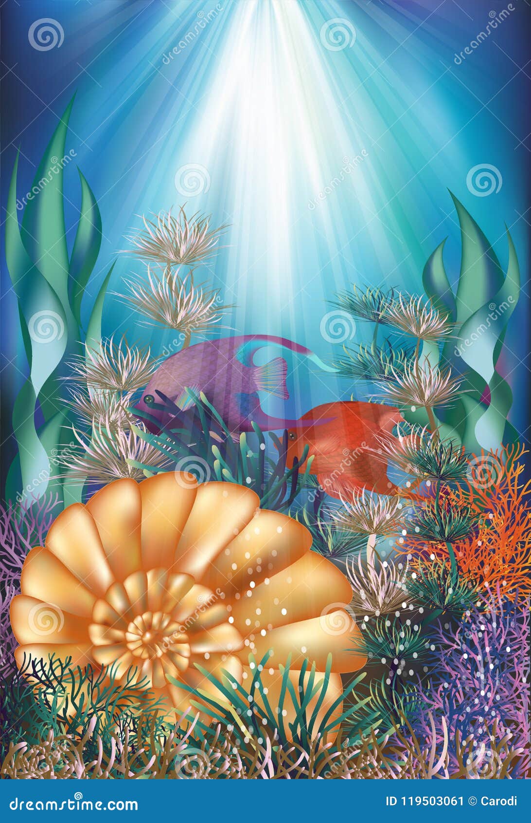 Underwater Card With Clownfish Cartoon Vector | CartoonDealer.com #73613291