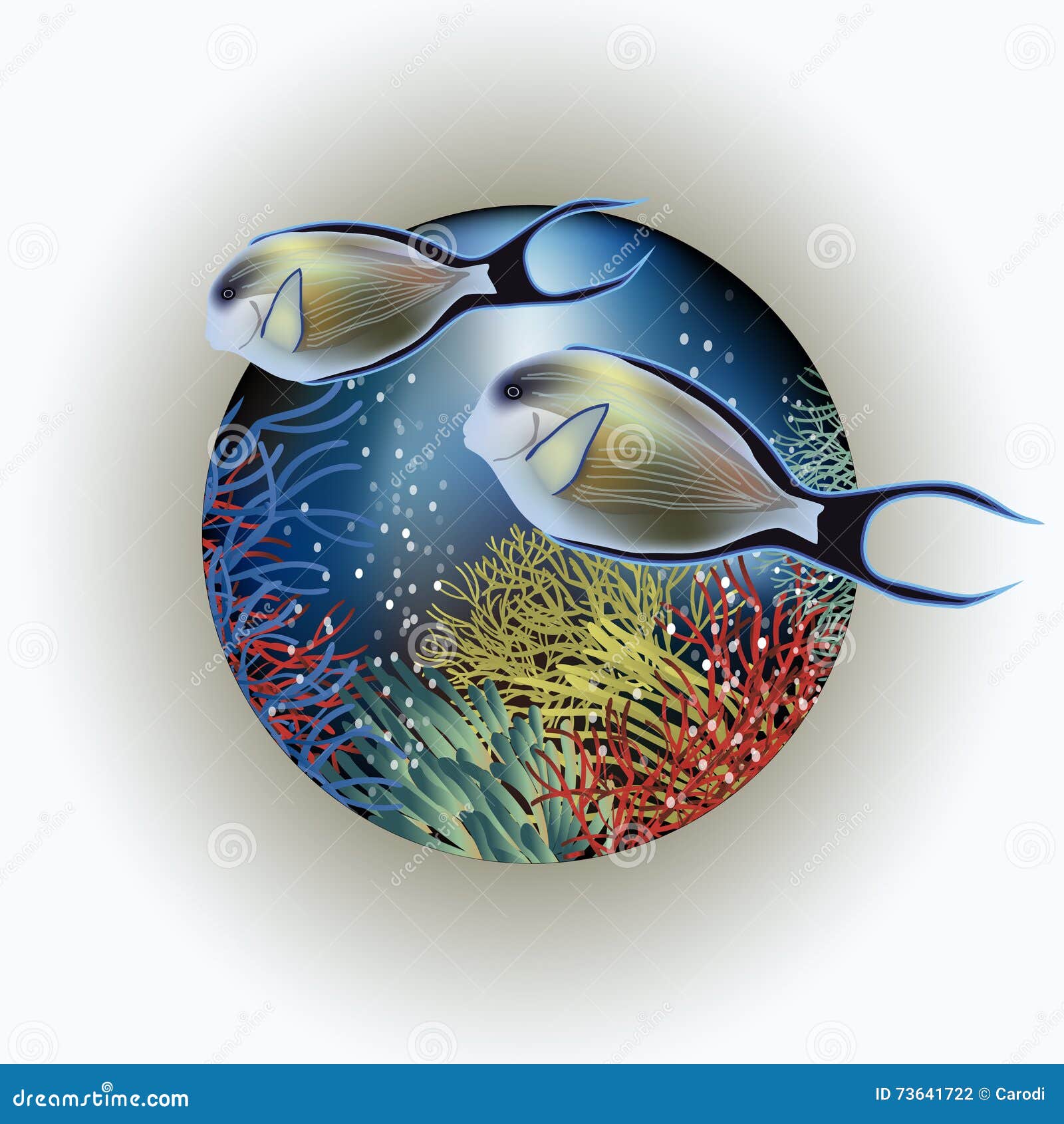 Surgeon Fish, Vintage Illustration | CartoonDealer.com #163242352