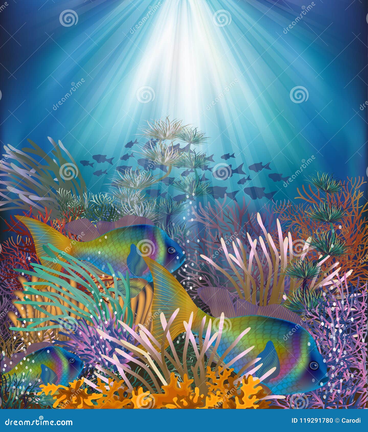 Underwater Card with Tropical Fish, Vector Stock Vector - Illustration ...