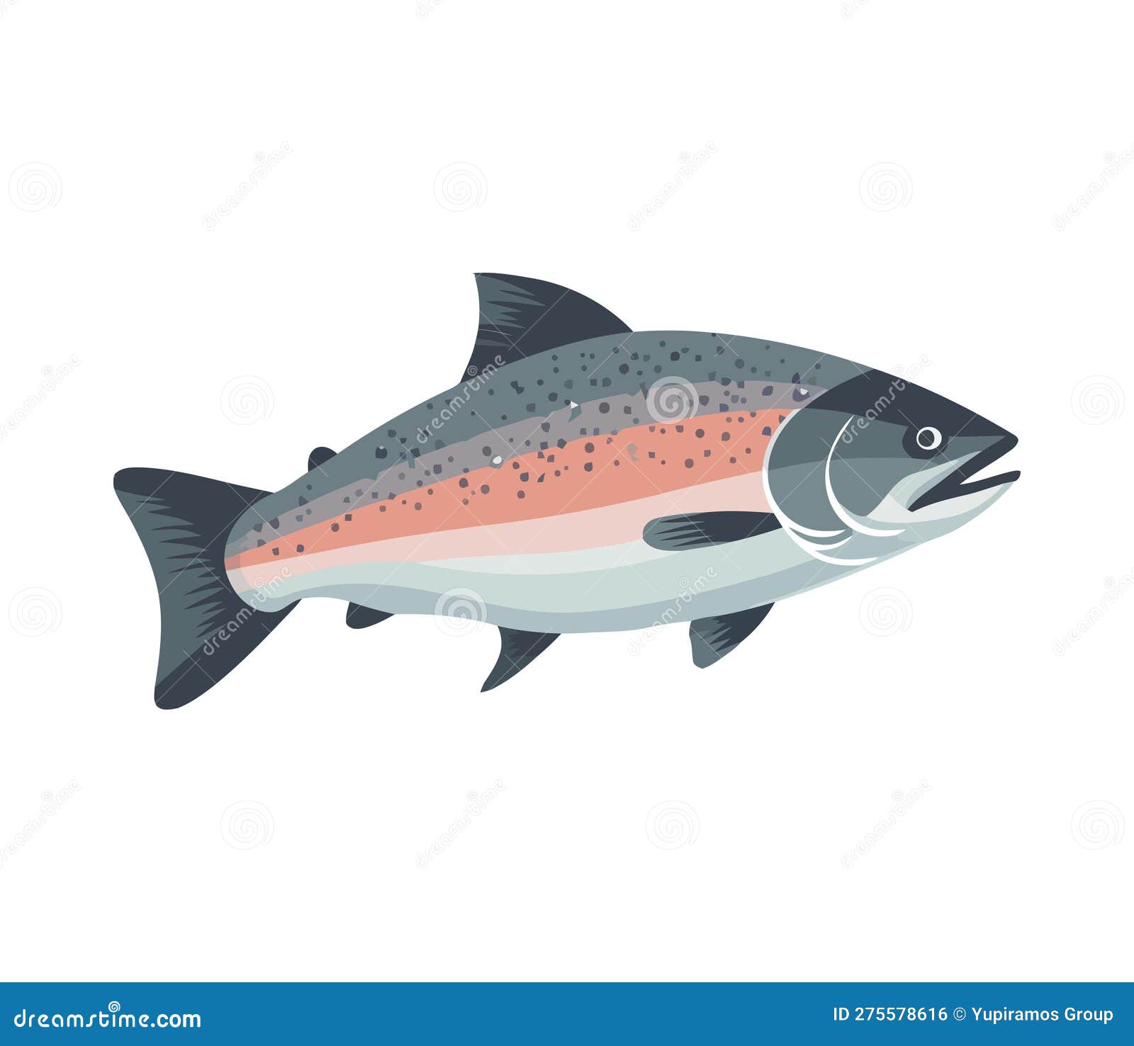Underwater Cartoon Fish Isolated on White Stock Vector - Illustration ...