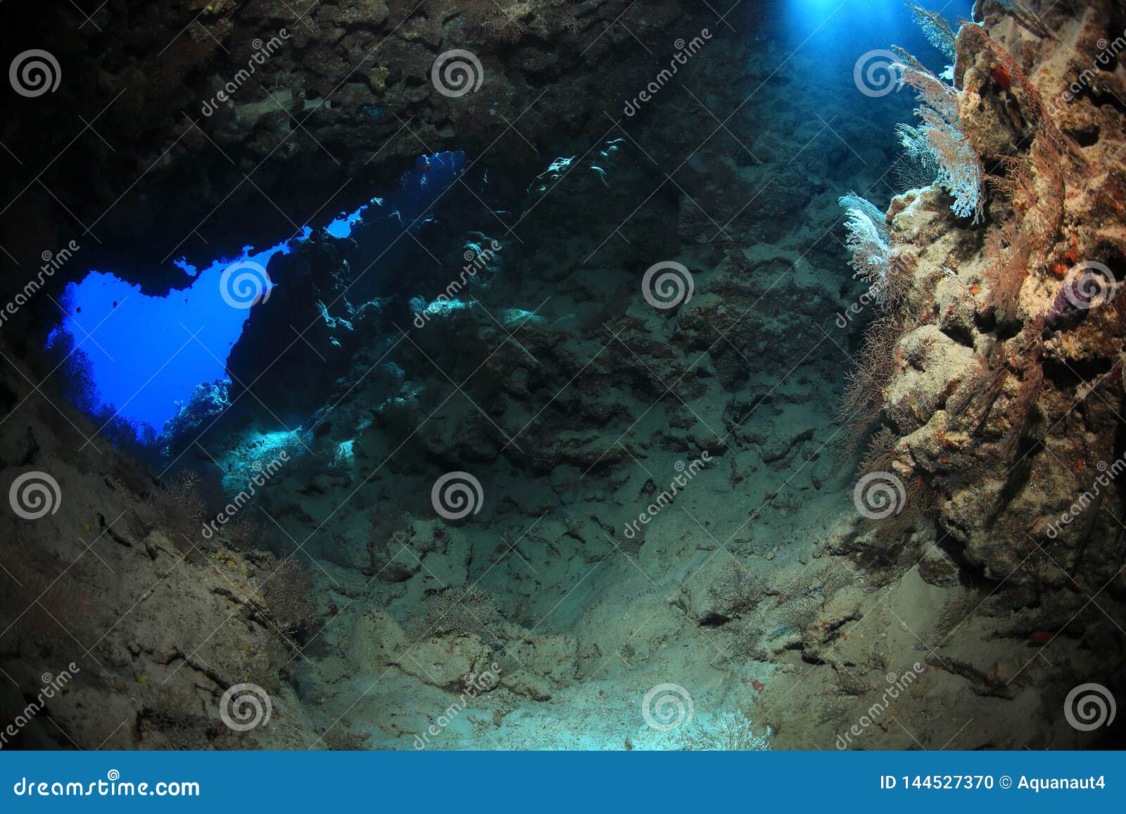 Underwater Cave in the Great Barrier Reef Stock Photo - Image of ...