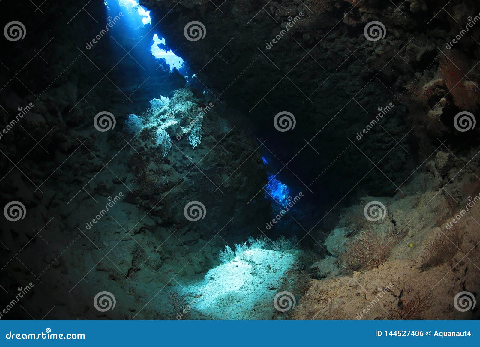 Underwater Cave in the Great Barrier Reef Stock Photo - Image of ...
