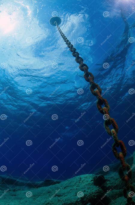 Underwater chain stock photo. Image of navy, ocean, peaceful - 4221124