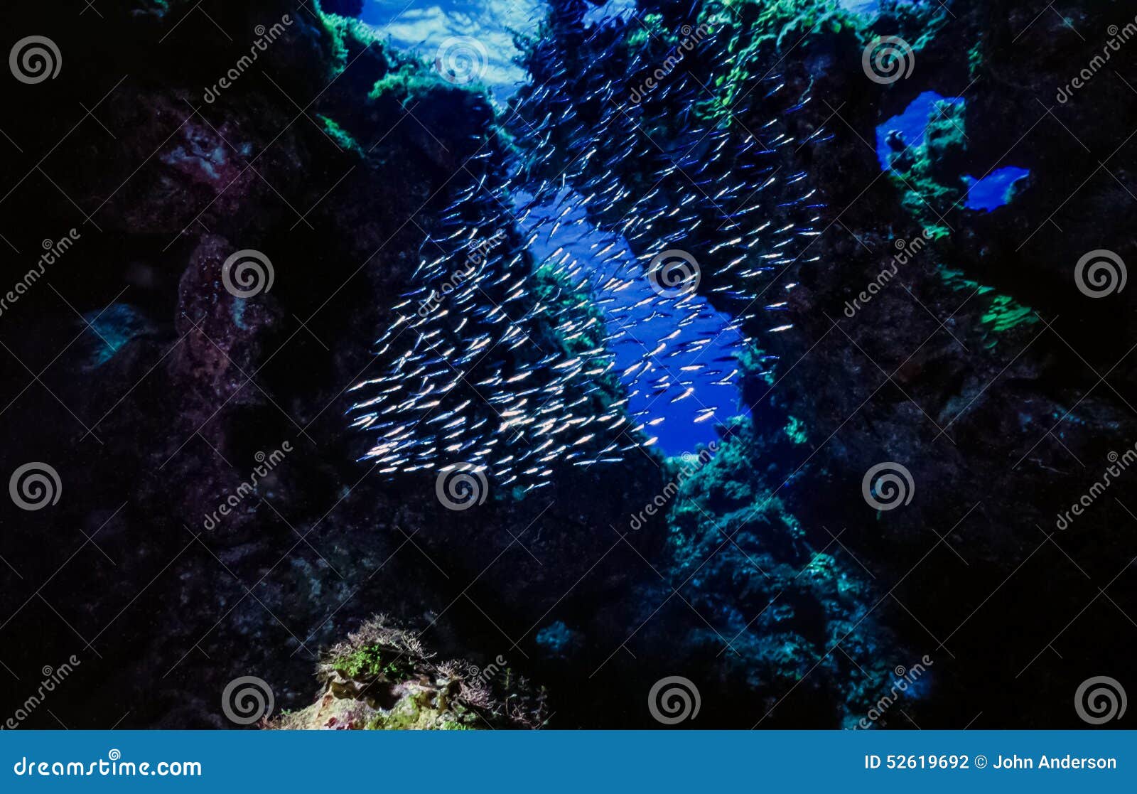 Underwater Coral Reef in Open Cave Stock Photo - Image of island, coral ...