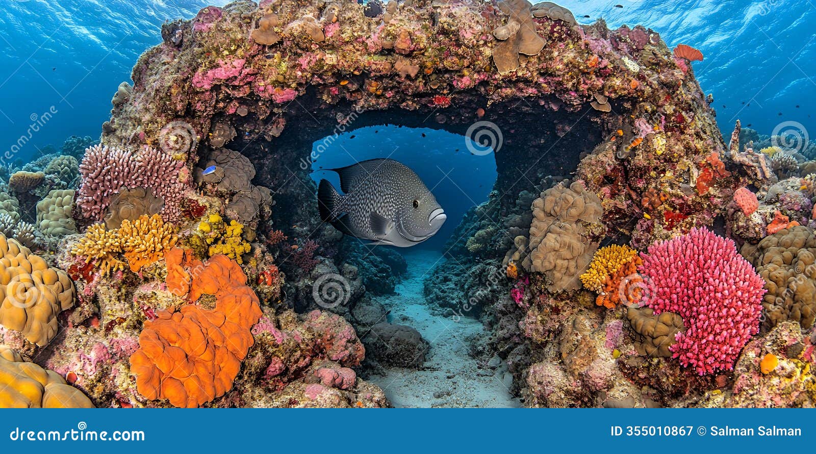 Underwater Coral Reef Scene Tropical Fish in Vibrant Coral Cave Stock ...