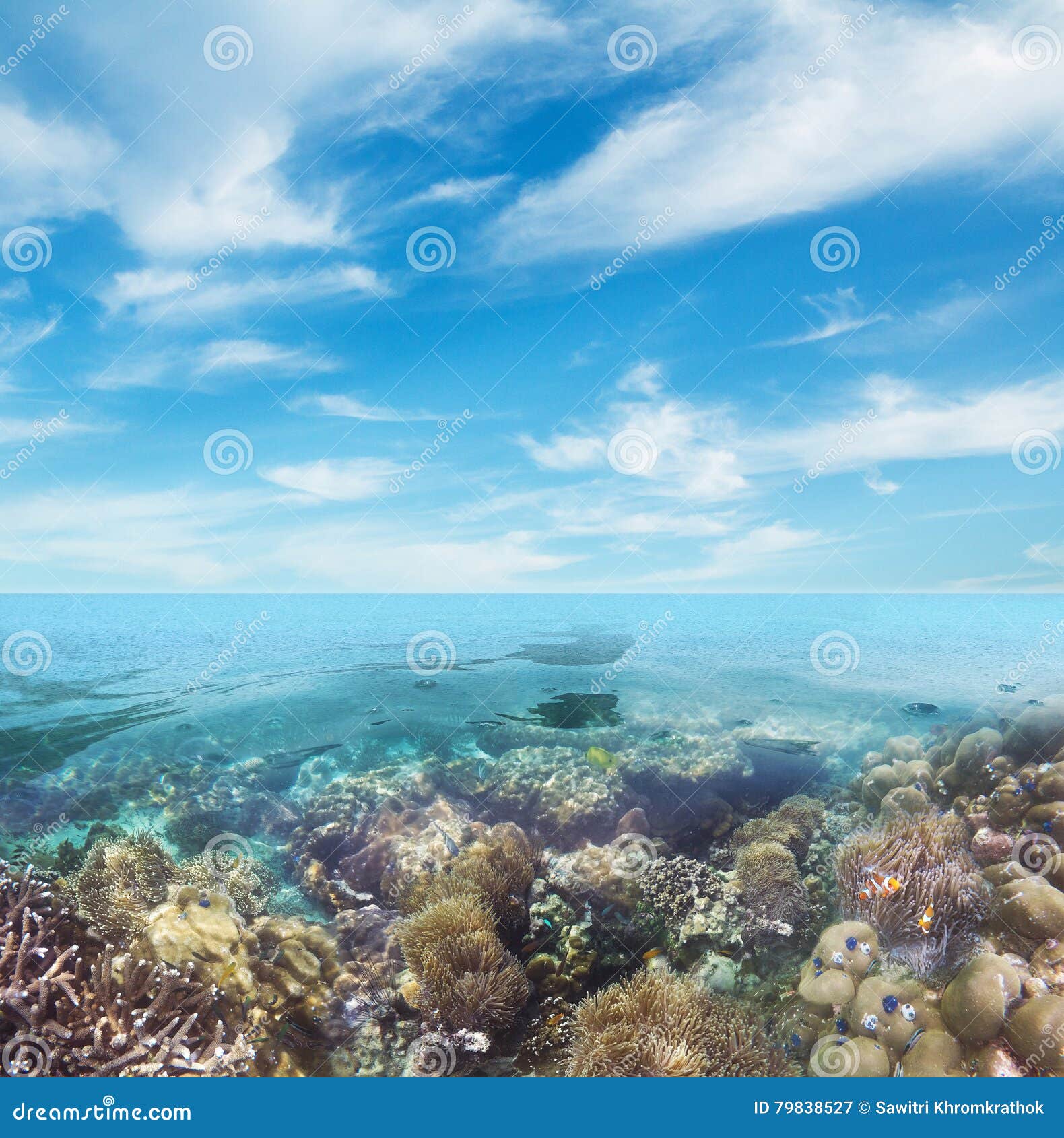Underwater Coral Reef Seabed View Stock Image - Image of blue, ocean ...