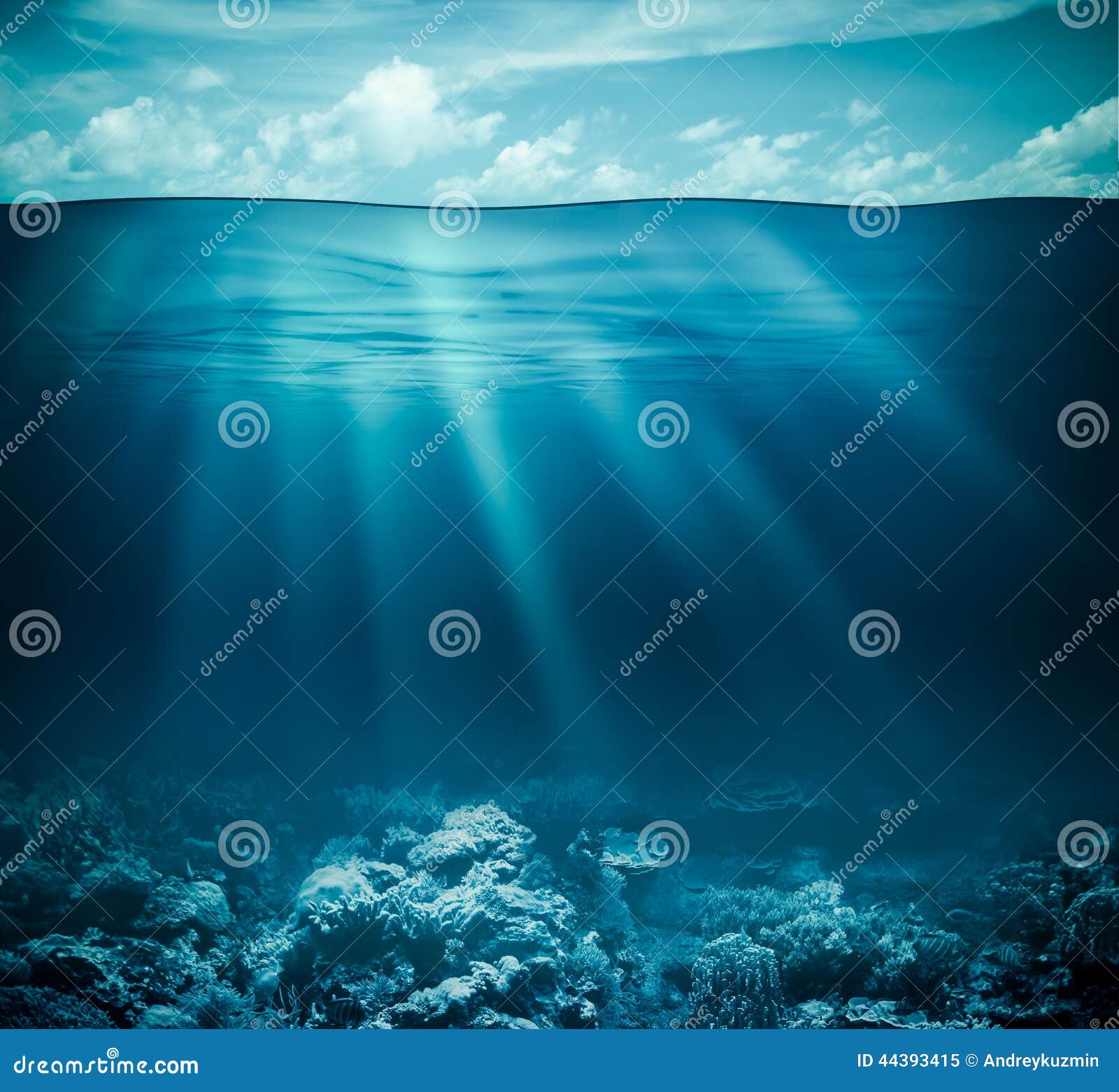 Underwater Coral Reef Seabed and Water Surface Stock Image - Image of ...