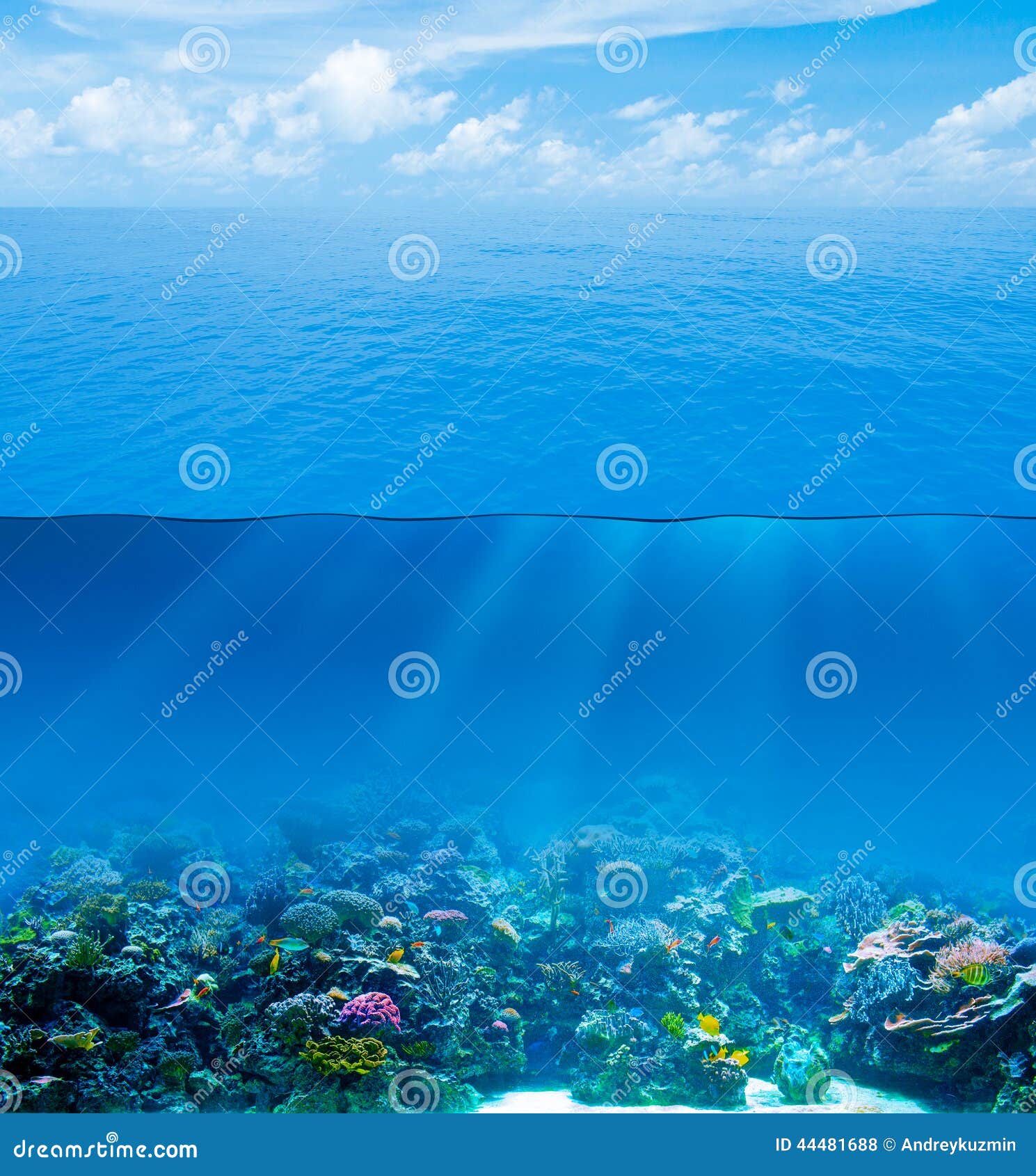 70,297 Deep Surface Photos - Free & Royalty-Free Stock Photos from ...