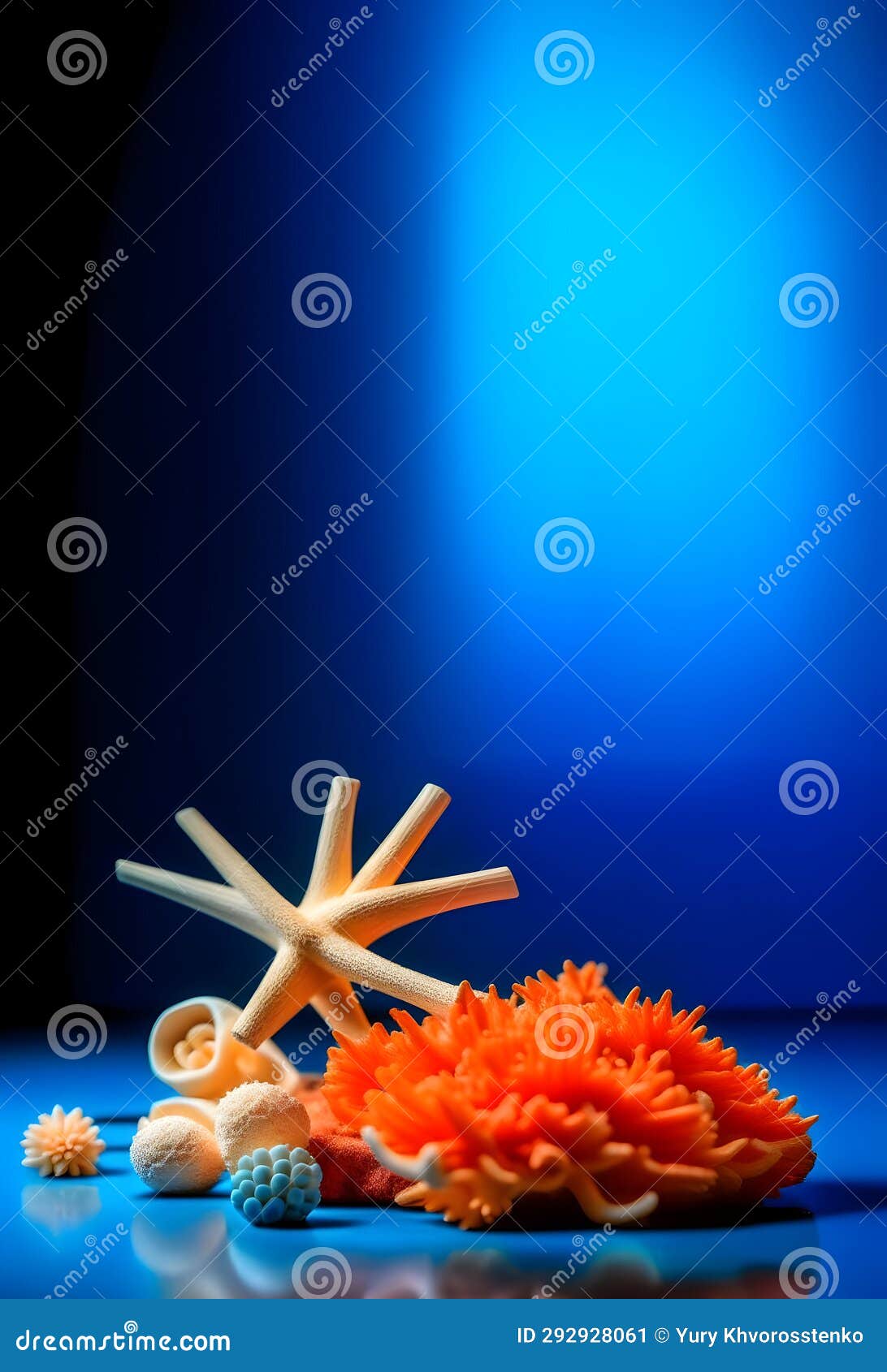 Underwater Delights: Dried Corals, Starfish, and Sponges Creating a ...