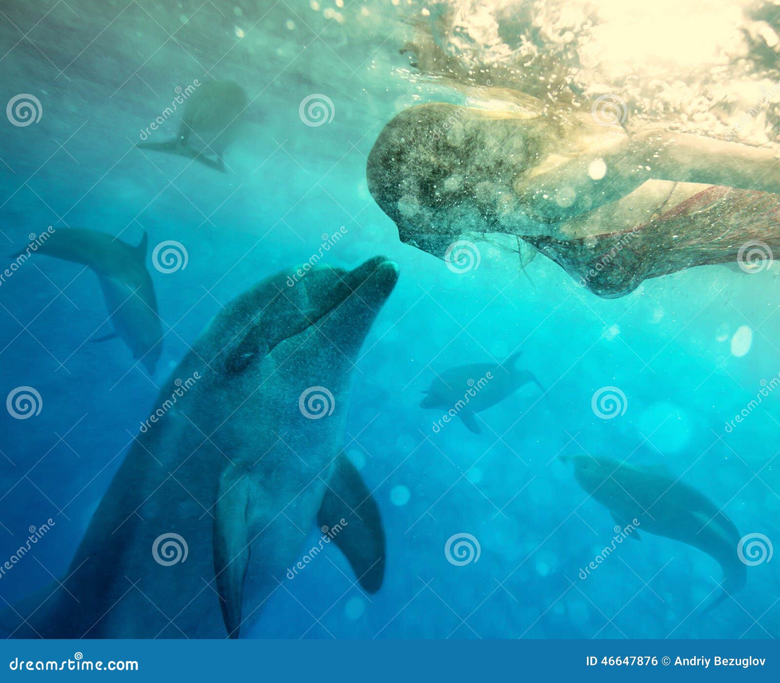 Underwater dialog stock photo. Image of people, blue - 46647876