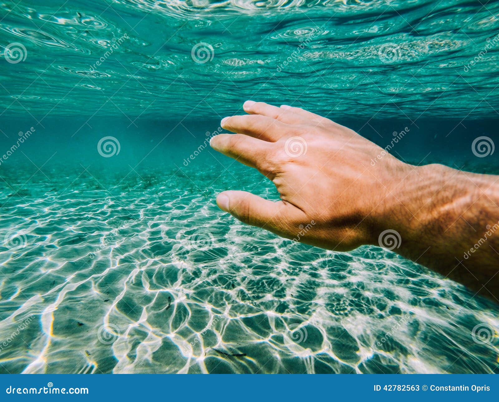 Underwater dive stock image. Image of getaway, discovering - 42782563