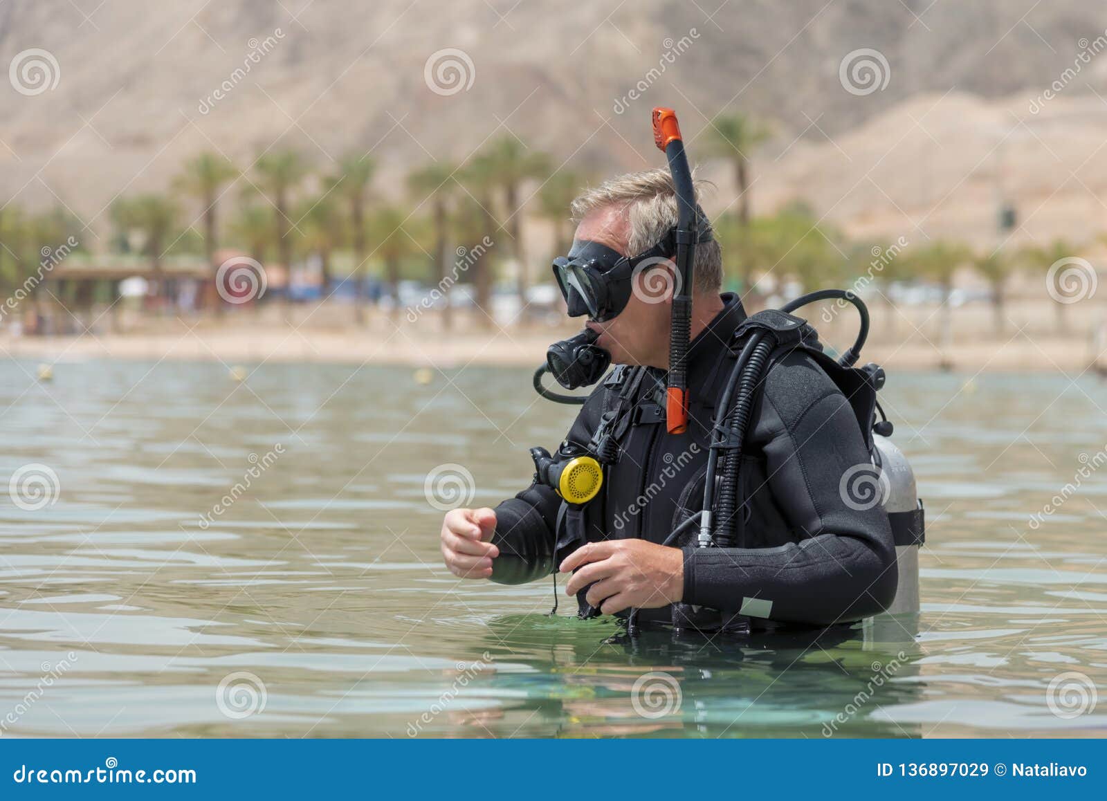 Underwater Diver in Basic Equipment Dives before Deep Diving. Lessons ...
