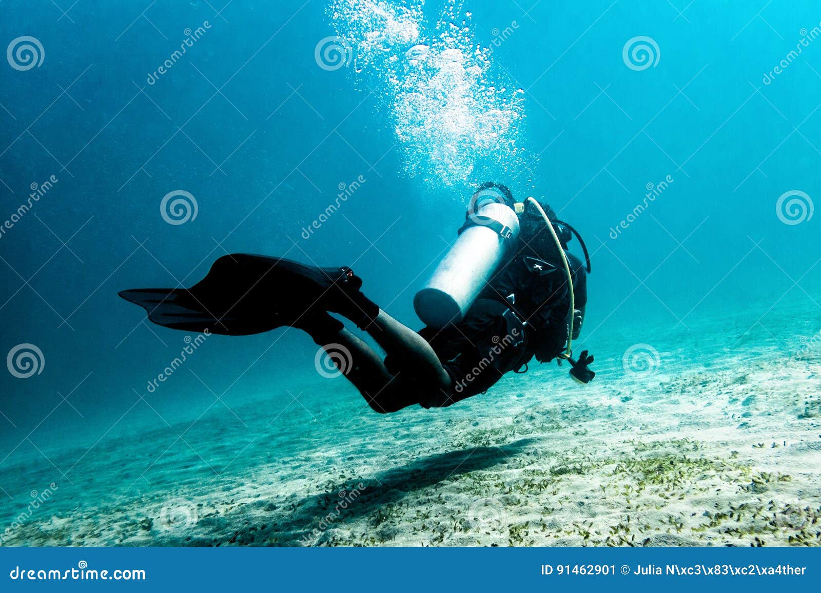 Underwater Diver while Diving Editorial Photo - Image of water ...