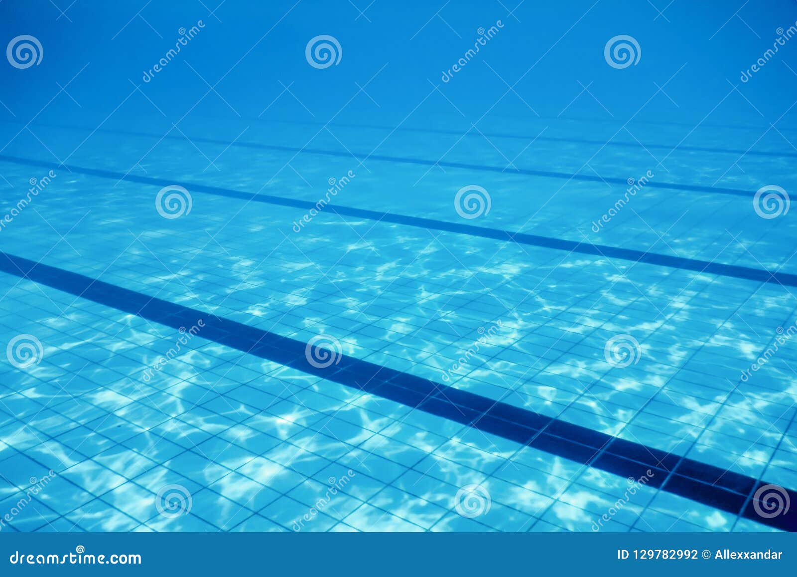 Underwater Empty Swimming Pool Stock Photo - Image of olympic ...