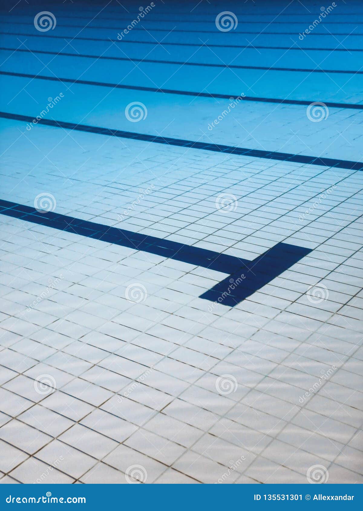 Underwater Empty Swimming Pool Stock Image - Image of empty, exercise ...