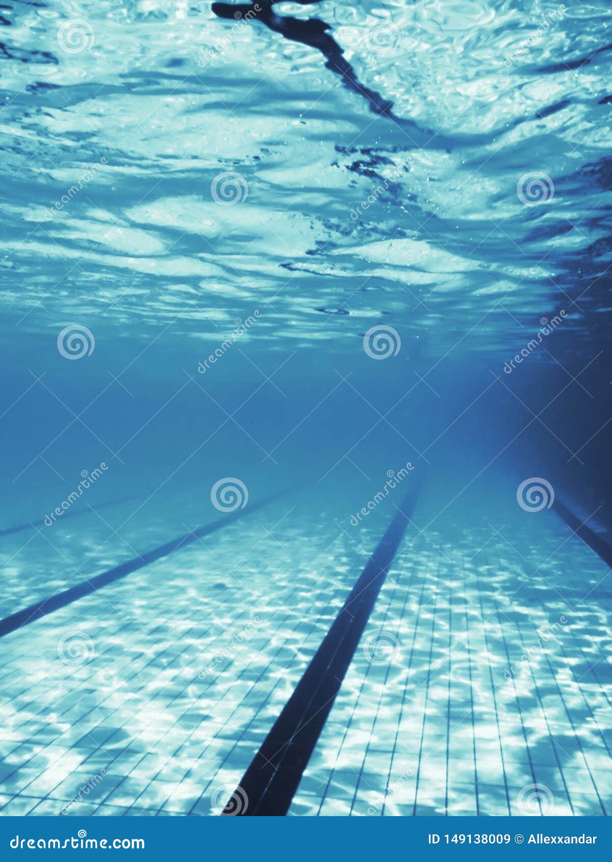Underwater Empty Swimming Pool Stock Image - Image of color, fitness ...