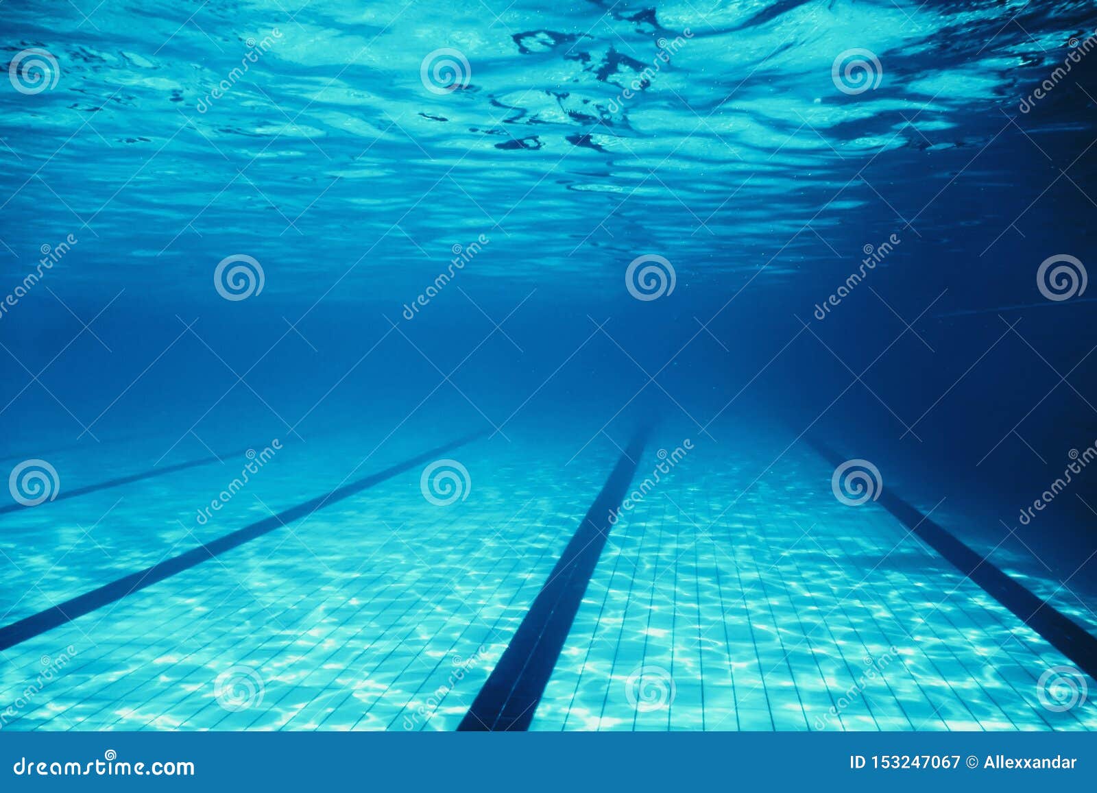 Underwater Empty Swimming Pool Stock Image - Image of sport, surface ...