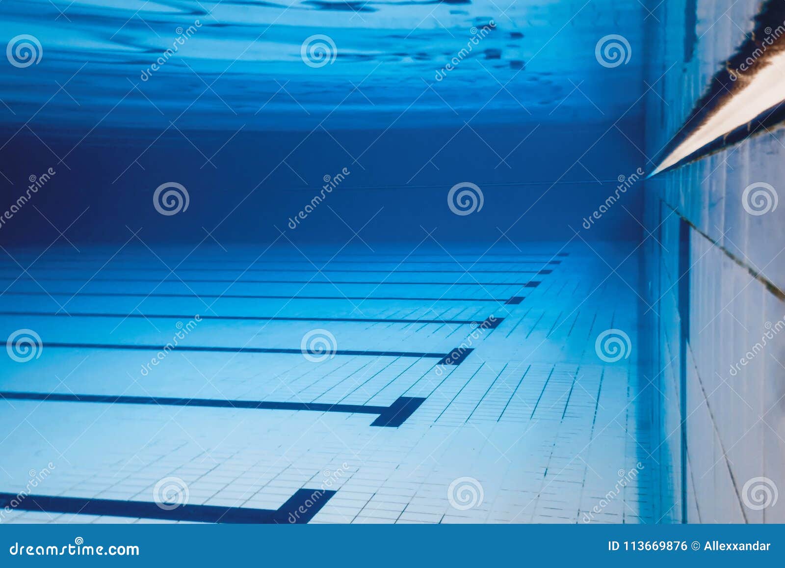 Underwater Empty Swimming Pool. Stock Photo - Image of healthy, swim ...