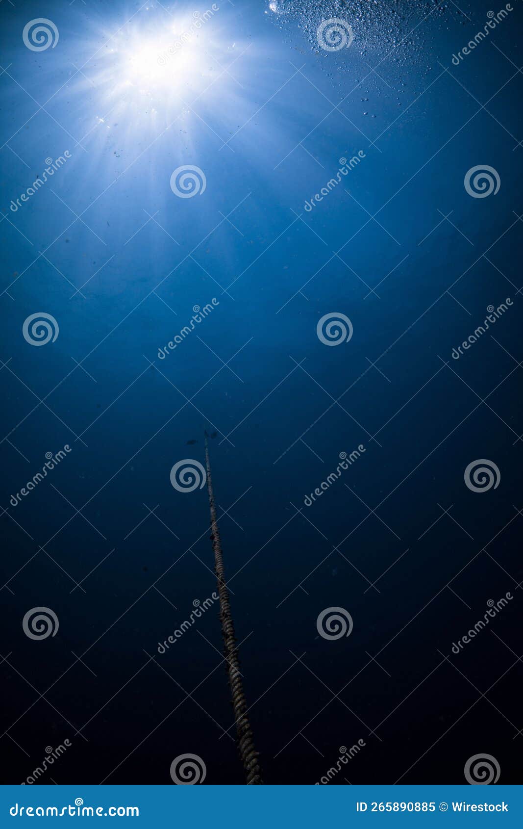 Underwater Environment with Reflection of Sunlight Stock Image - Image ...