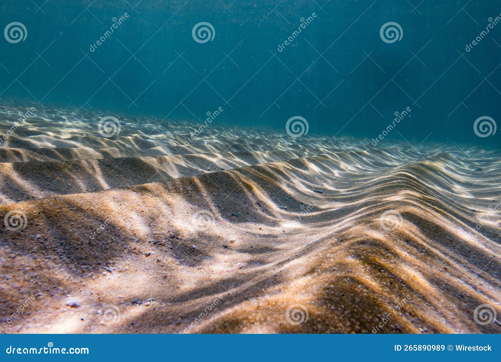 Underwater Environment with Reflection of Sunlight Stock Image - Image ...