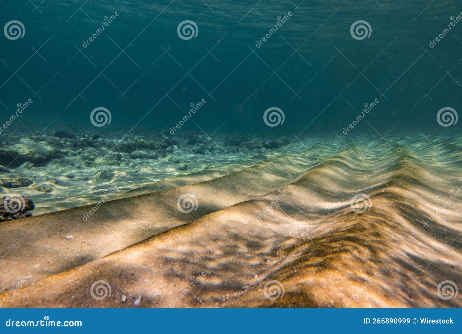 Underwater Environment with Reflection of Sunlight Stock Image - Image ...