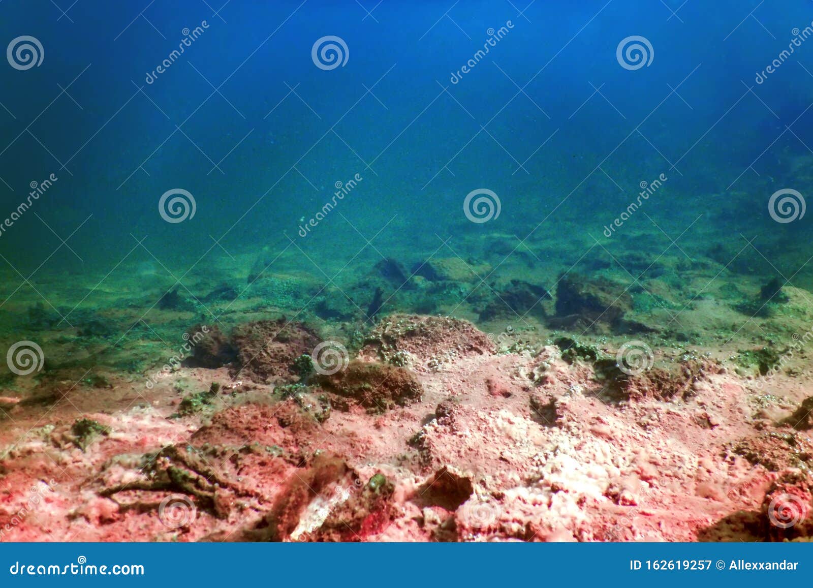 Underwater Freshwater Flora, Underwater Bottom, Rivers, Lakes, Pond ...