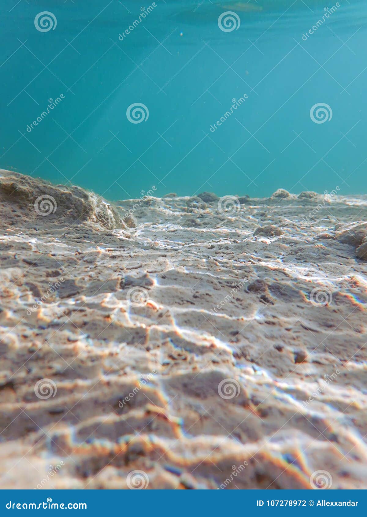 Underwater Freshwater Flora Rivers, Lakes, Pond. Stock Photo - Image of ...