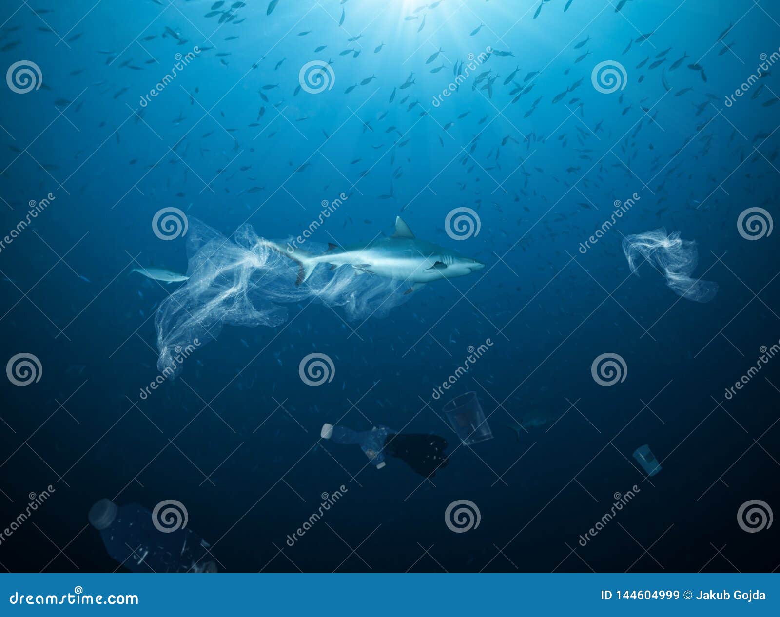Underwater Global Problem with Plastic Rubbish Stock Image - Image of ...