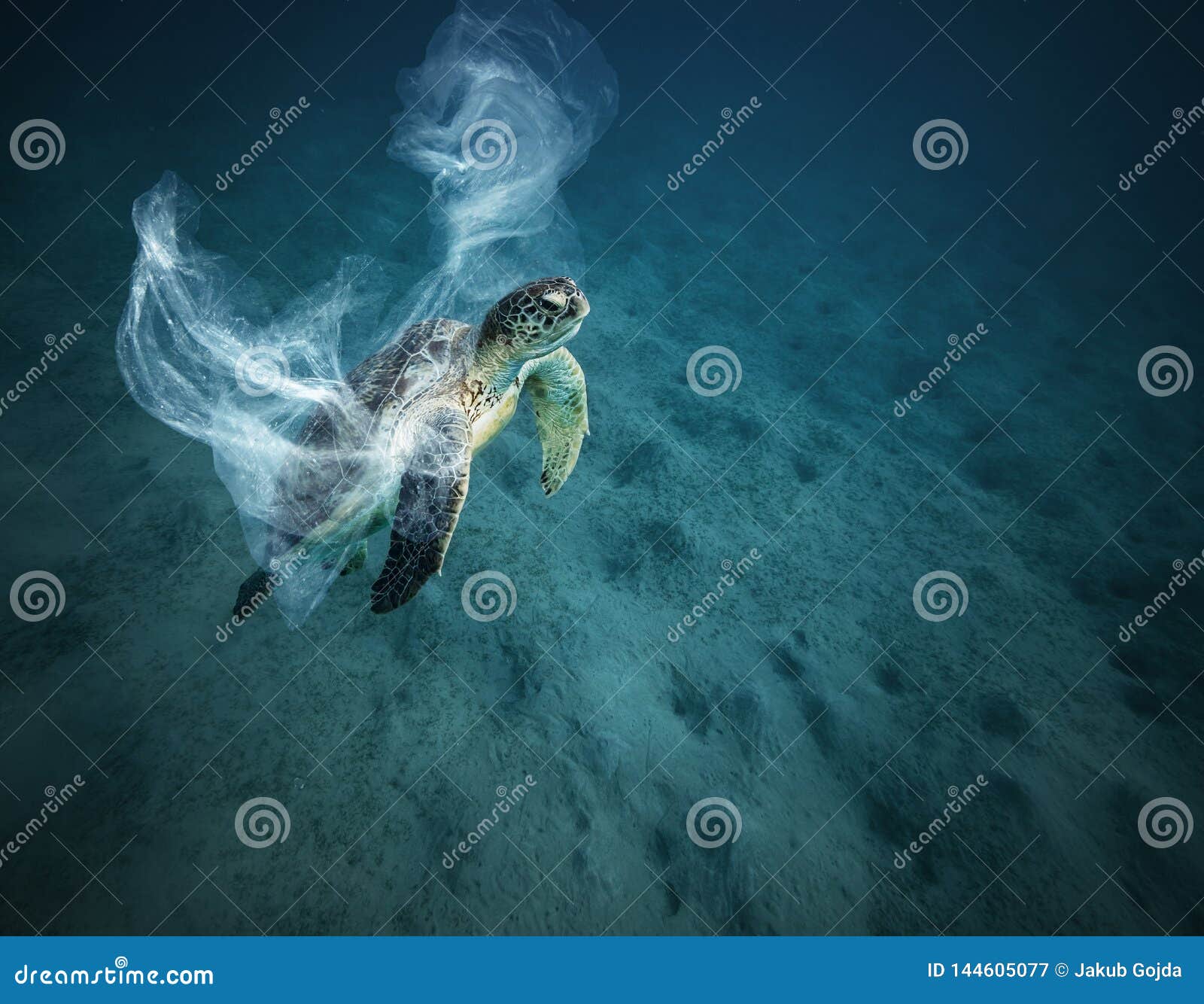 Underwater Global Problem with Plastic Rubbish Stock Image - Image of ...