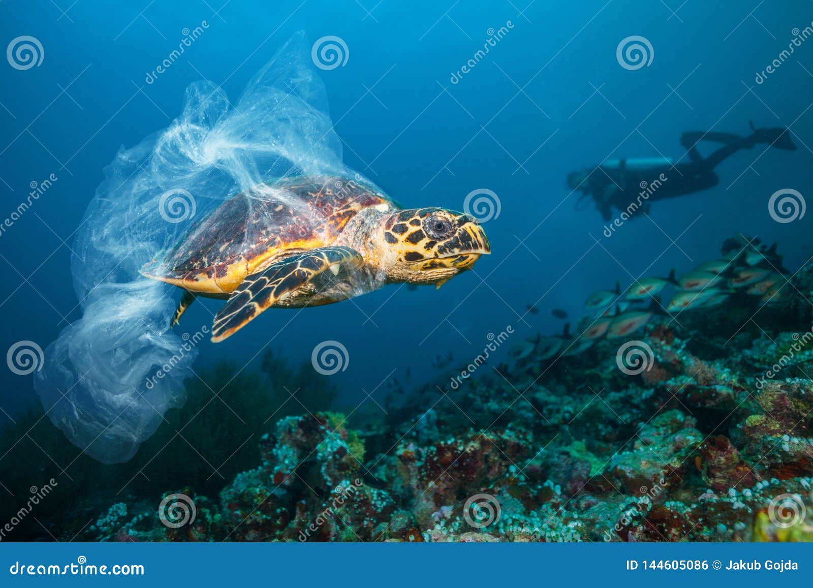 Underwater Global Problem with Plastic Rubbish Stock Photo - Image of ...