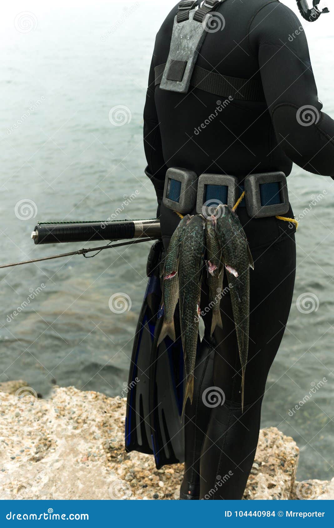 Spearfishing stock photo. Image of fishing, scuba, male - 104440984