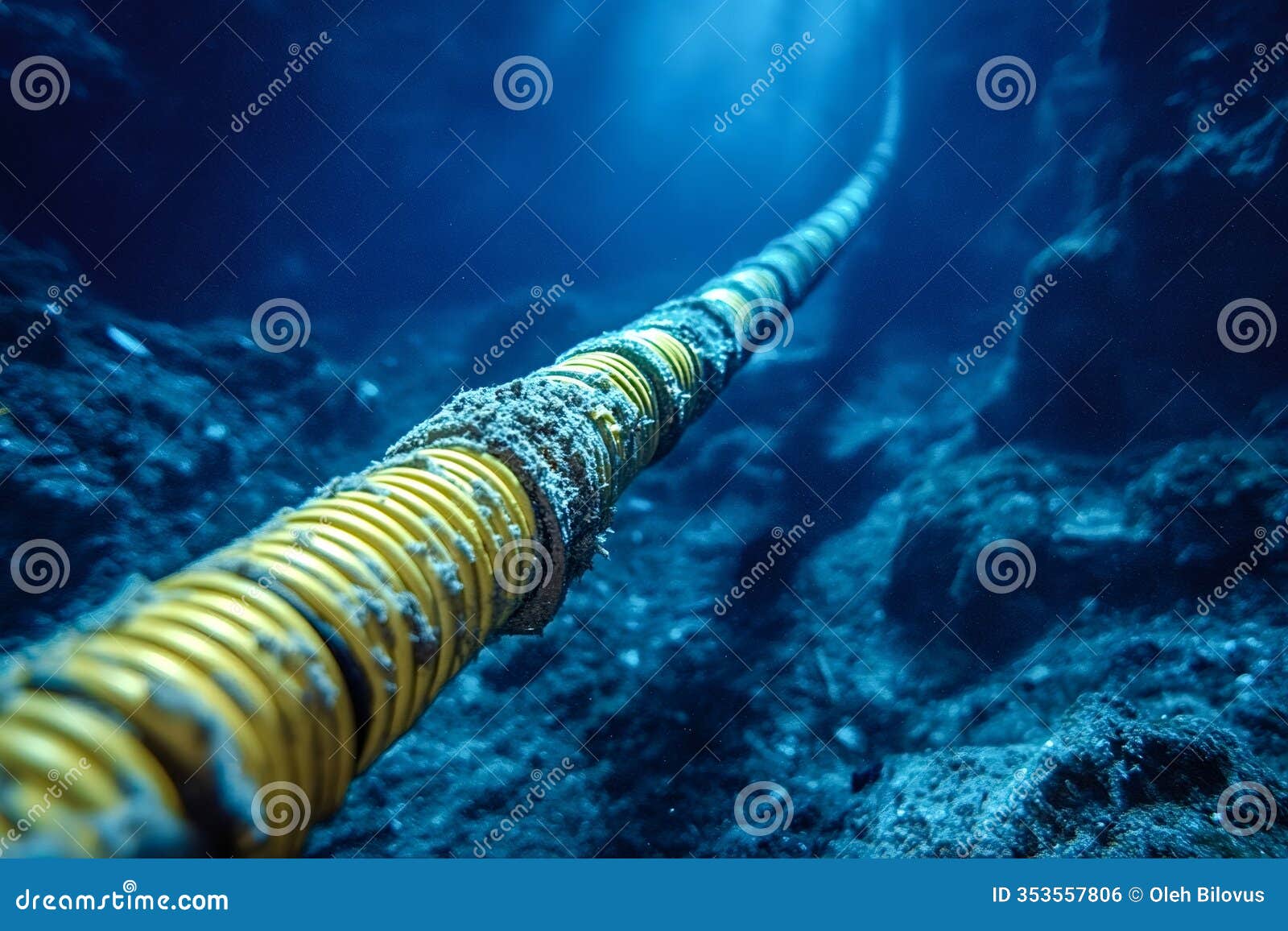 Underwater Internet Cable Lying on the Seabed Stock Photo - Image of ...