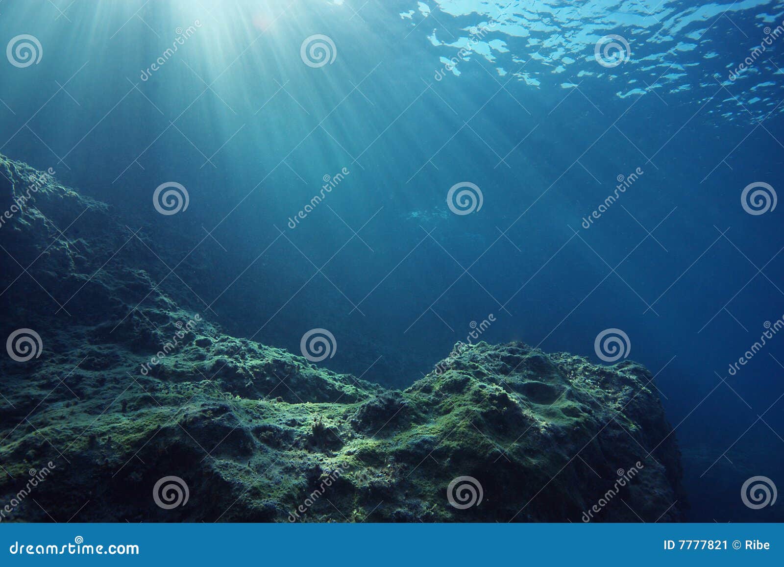 Underwater Landscape With Sunrays Royalty-Free Stock Photo ...