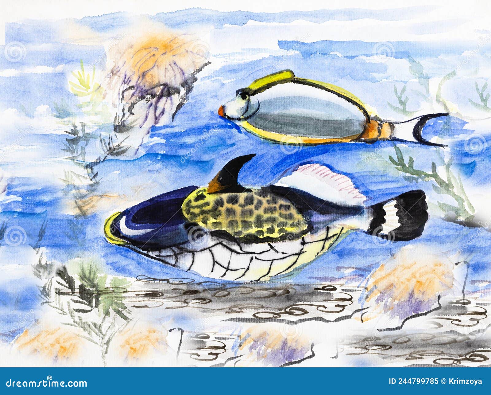 Underwater Life with Fish and Algae Stock Illustration - Illustration ...