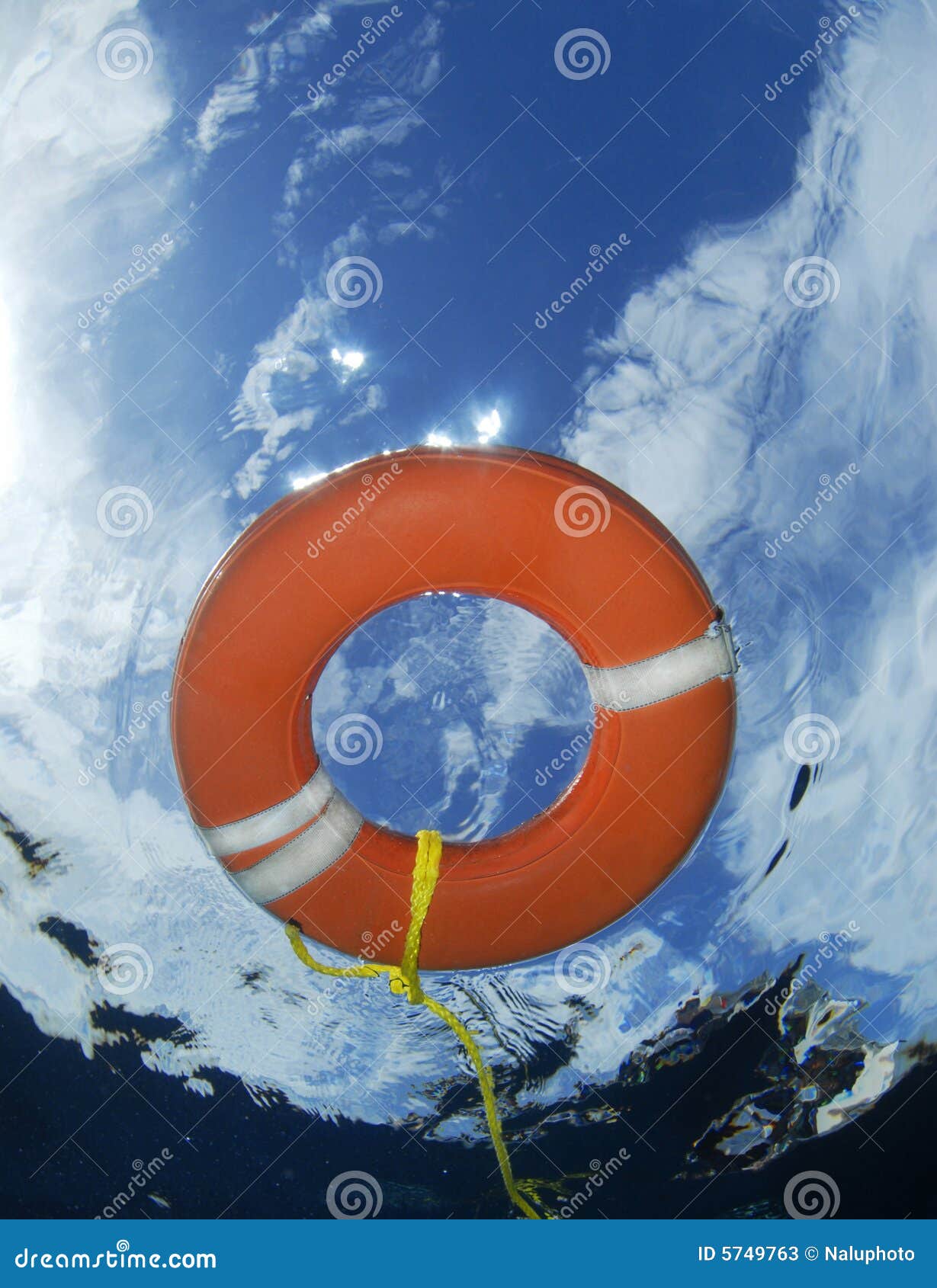 Underwater Life Saver stock image. Image of ring, boating - 5749763
