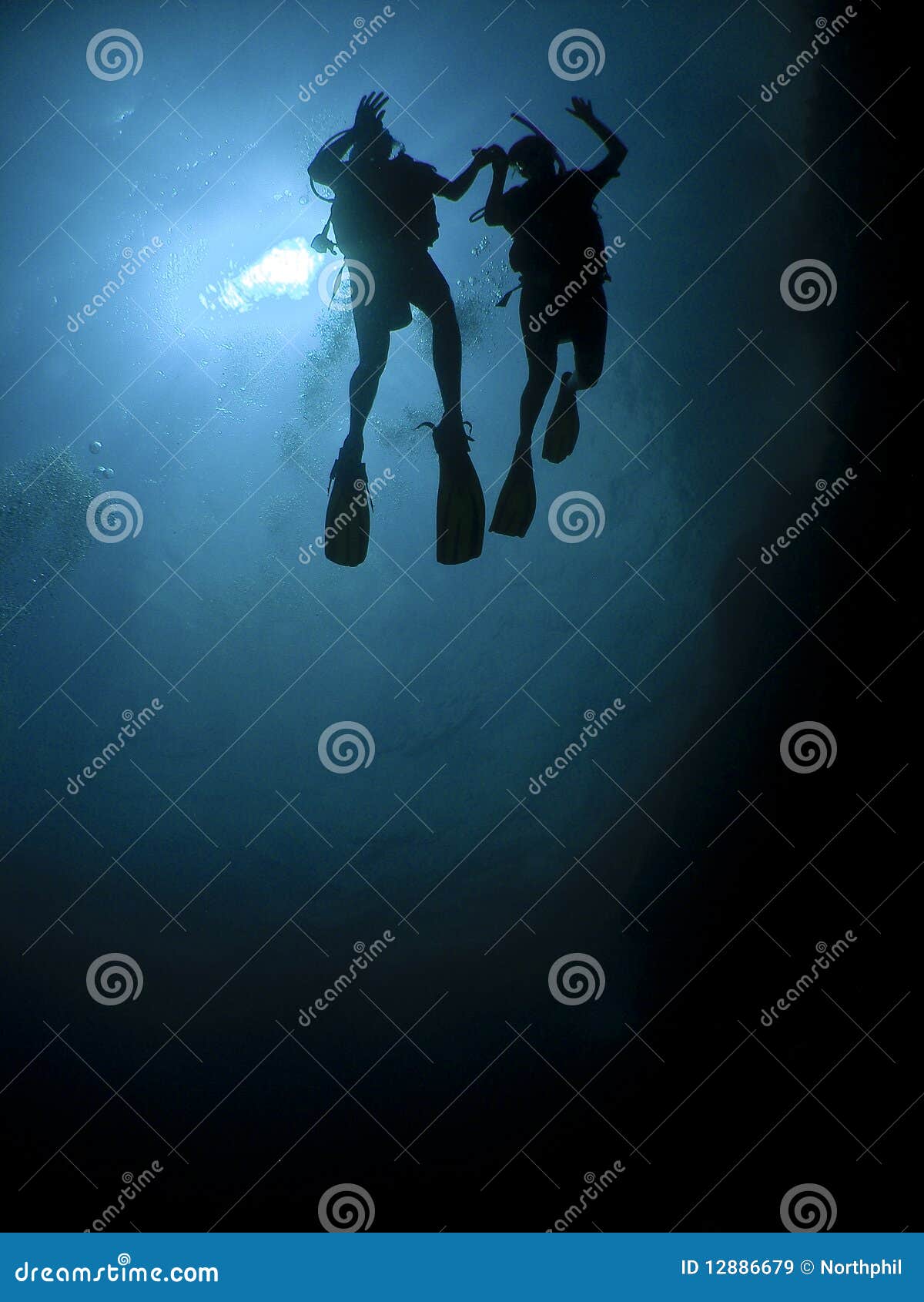 Underwater Love stock image. Image of underwater, buddies - 12886679