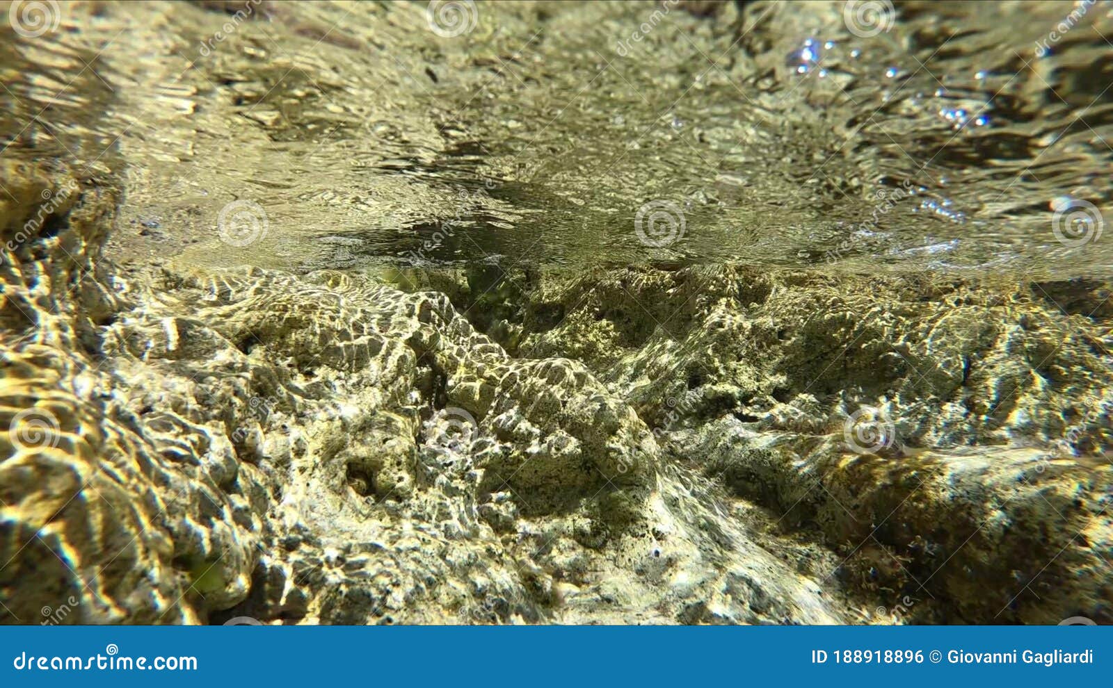 Underwater Marine Life, Italian Ocean Stock Photo - Image of italy ...