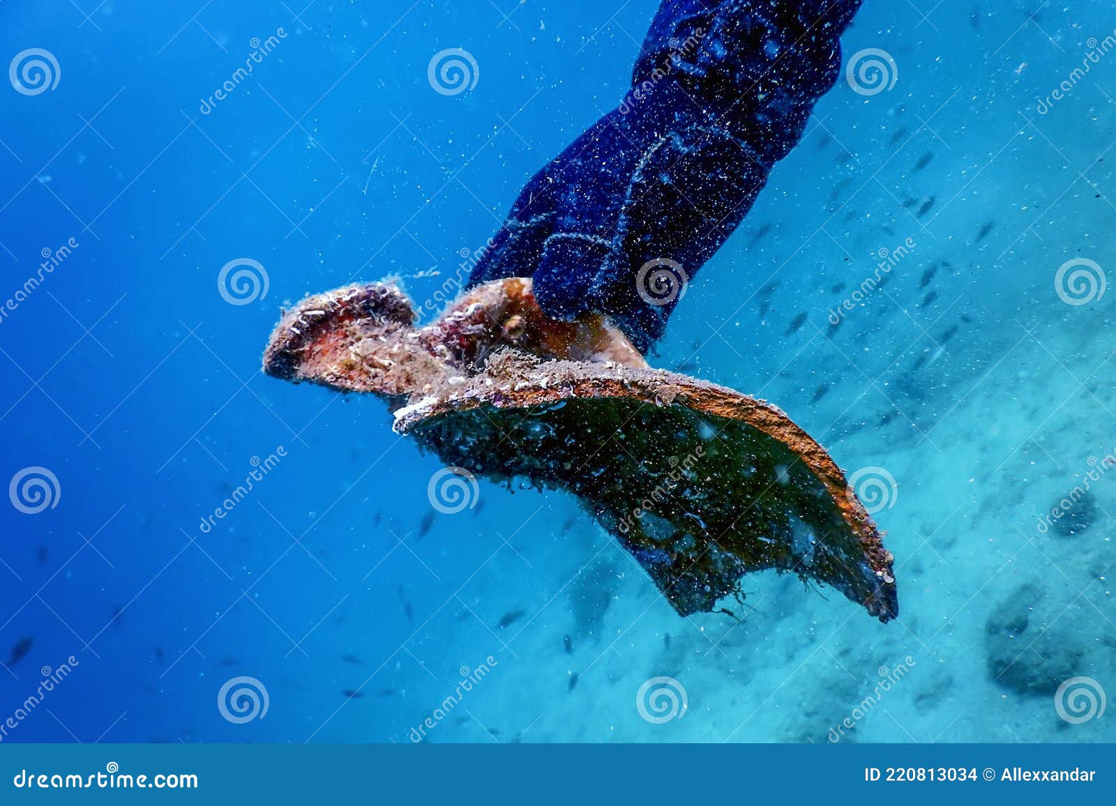 Underwater Modern Treasure Hunter,Â diver Sunken Treasure, Archeology ...