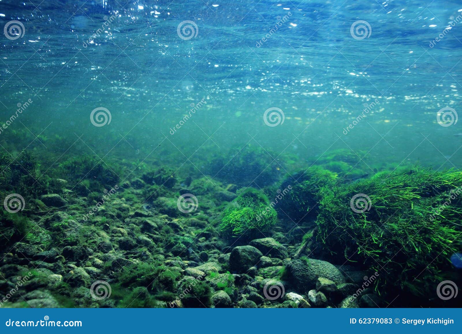 Underwater in Mountain River Stock Image - Image of blue, beauty: 62379083