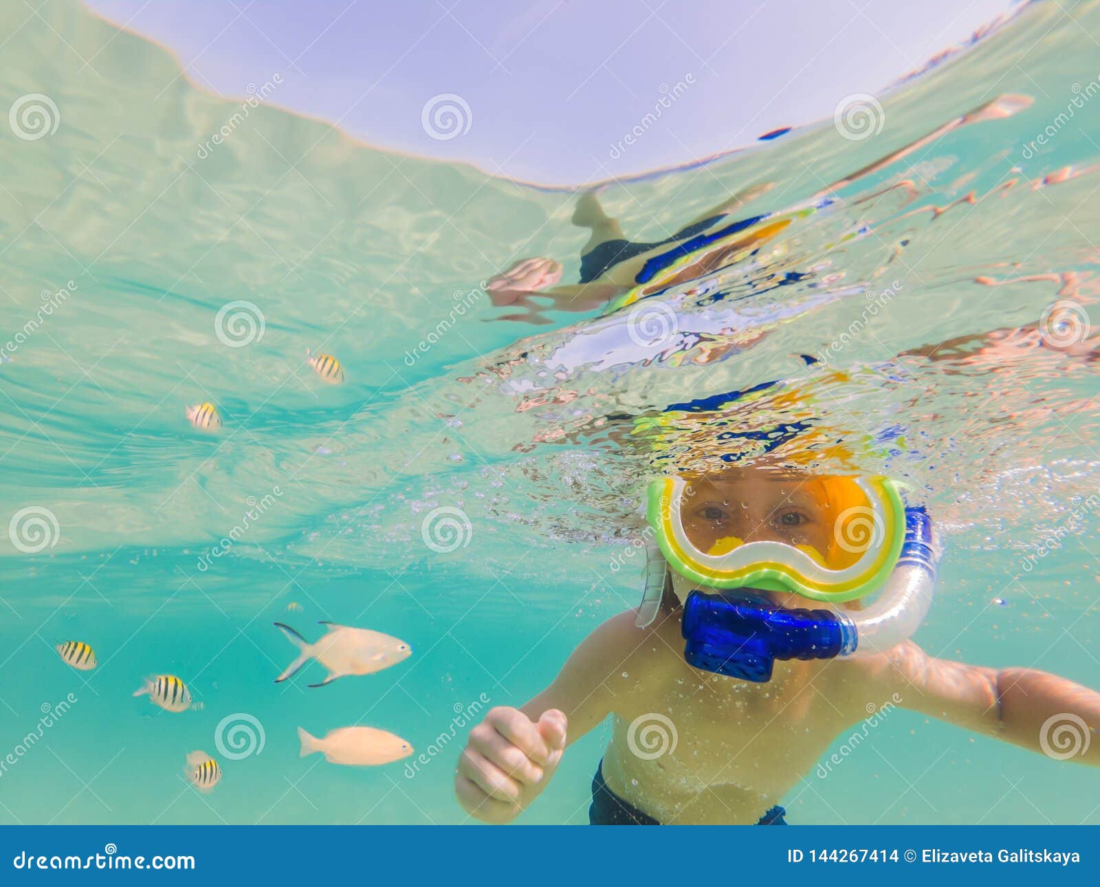 Underwater Nature Study, Boy Snorkeling in Clear Blue Sea Stock Photo ...