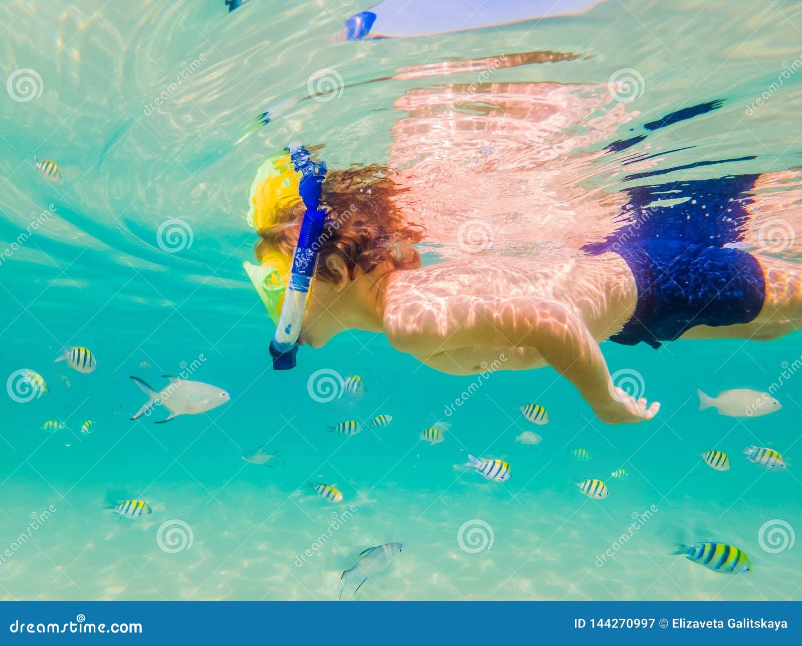 Underwater Nature Study, Boy Snorkeling in Clear Blue Sea Stock Image ...