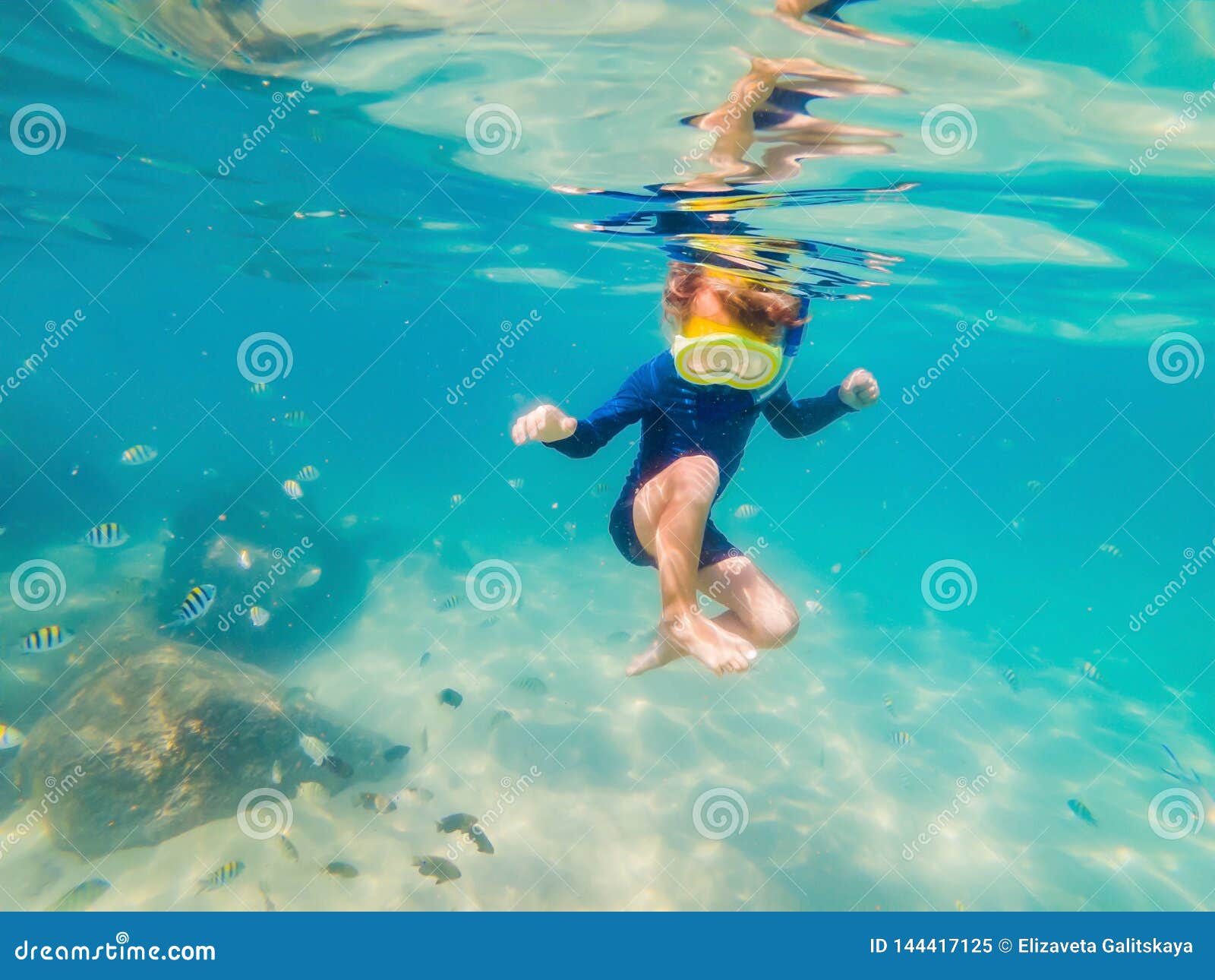 Underwater Nature Study, Boy Snorkeling in Clear Blue Sea Stock Image ...